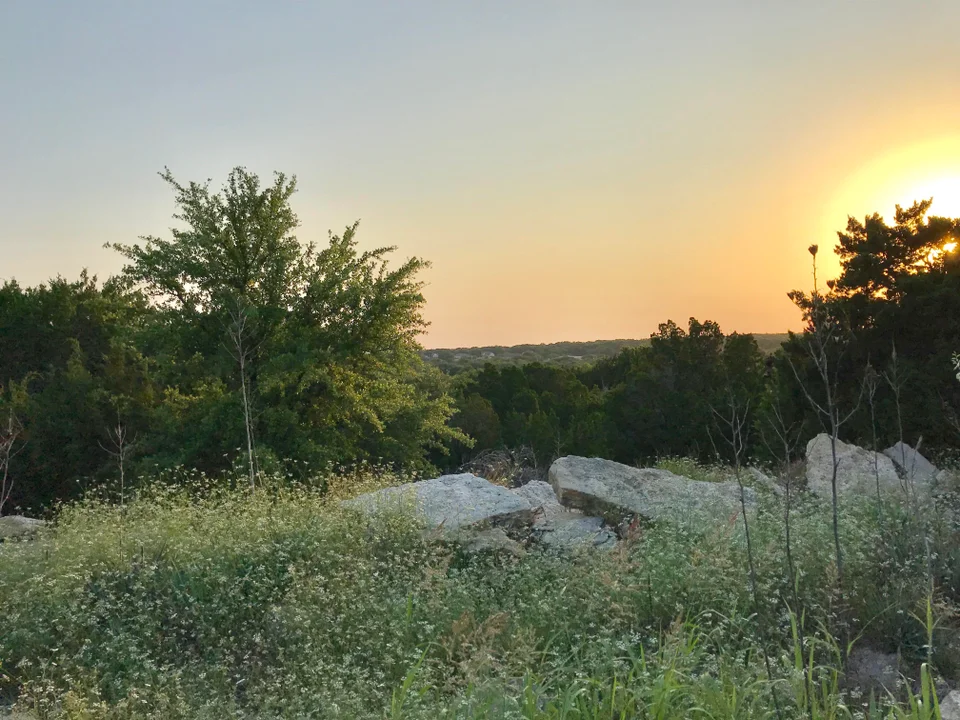 Before and After of my Backyard during the freeze Last Year | Scrolller
