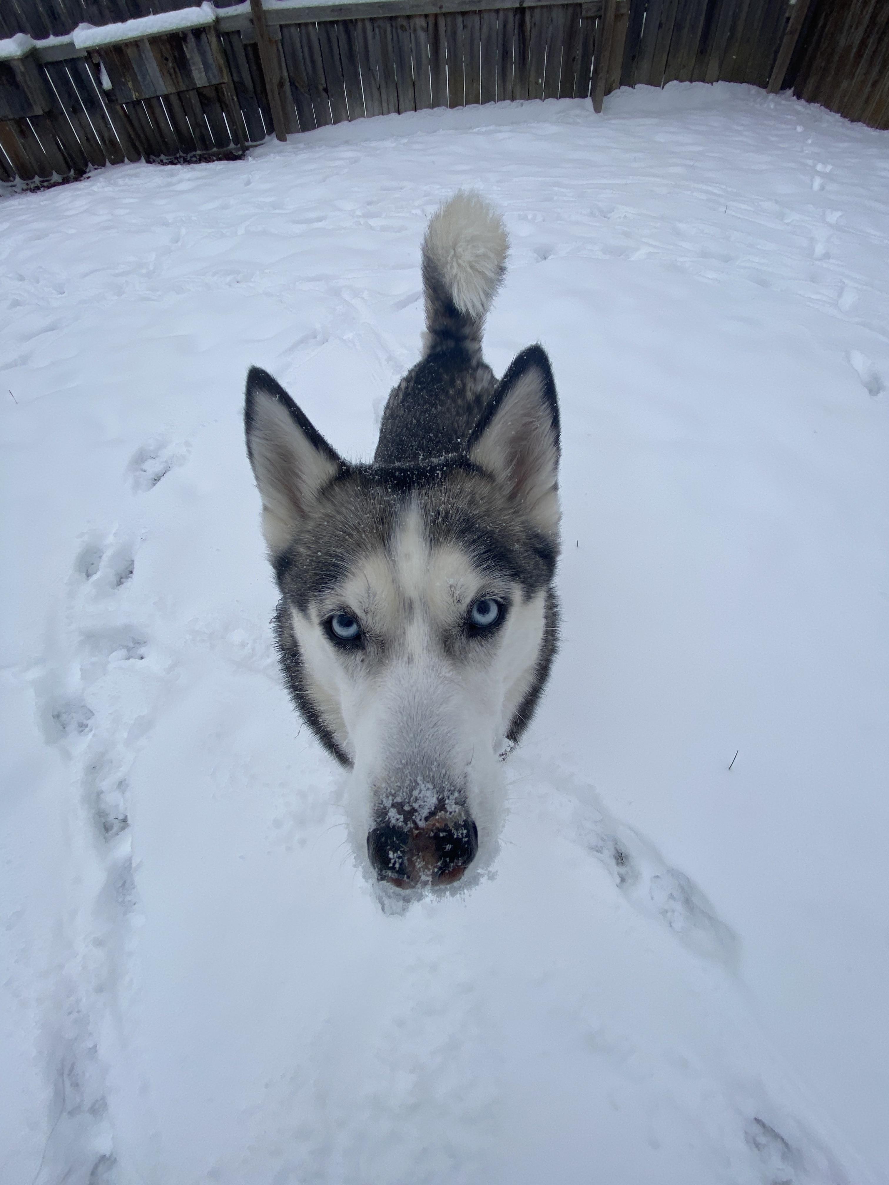 Mood swings | Scrolller