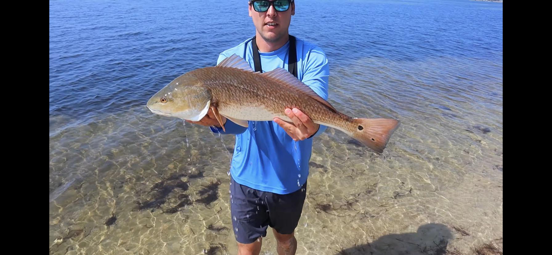 Which bait do you think this redfish ate? | Scrolller