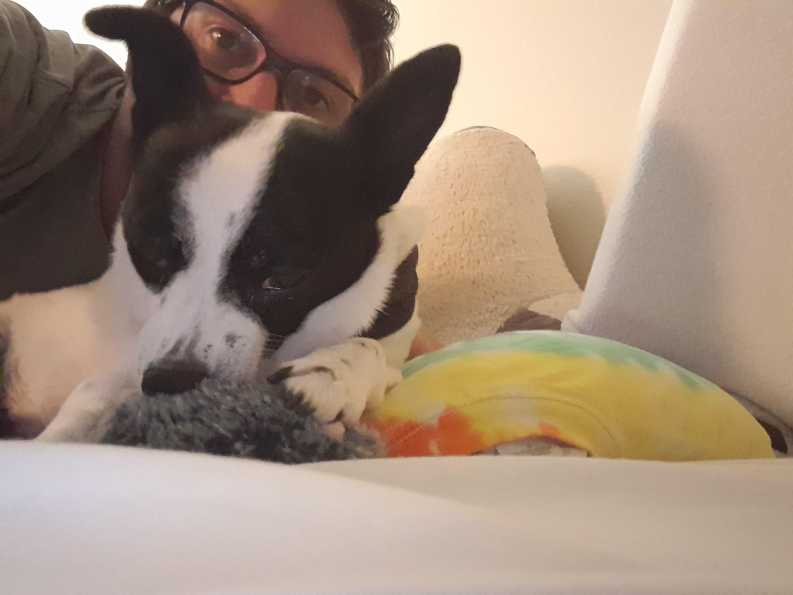 Molly 🩷🩷🩷 | Scrolller