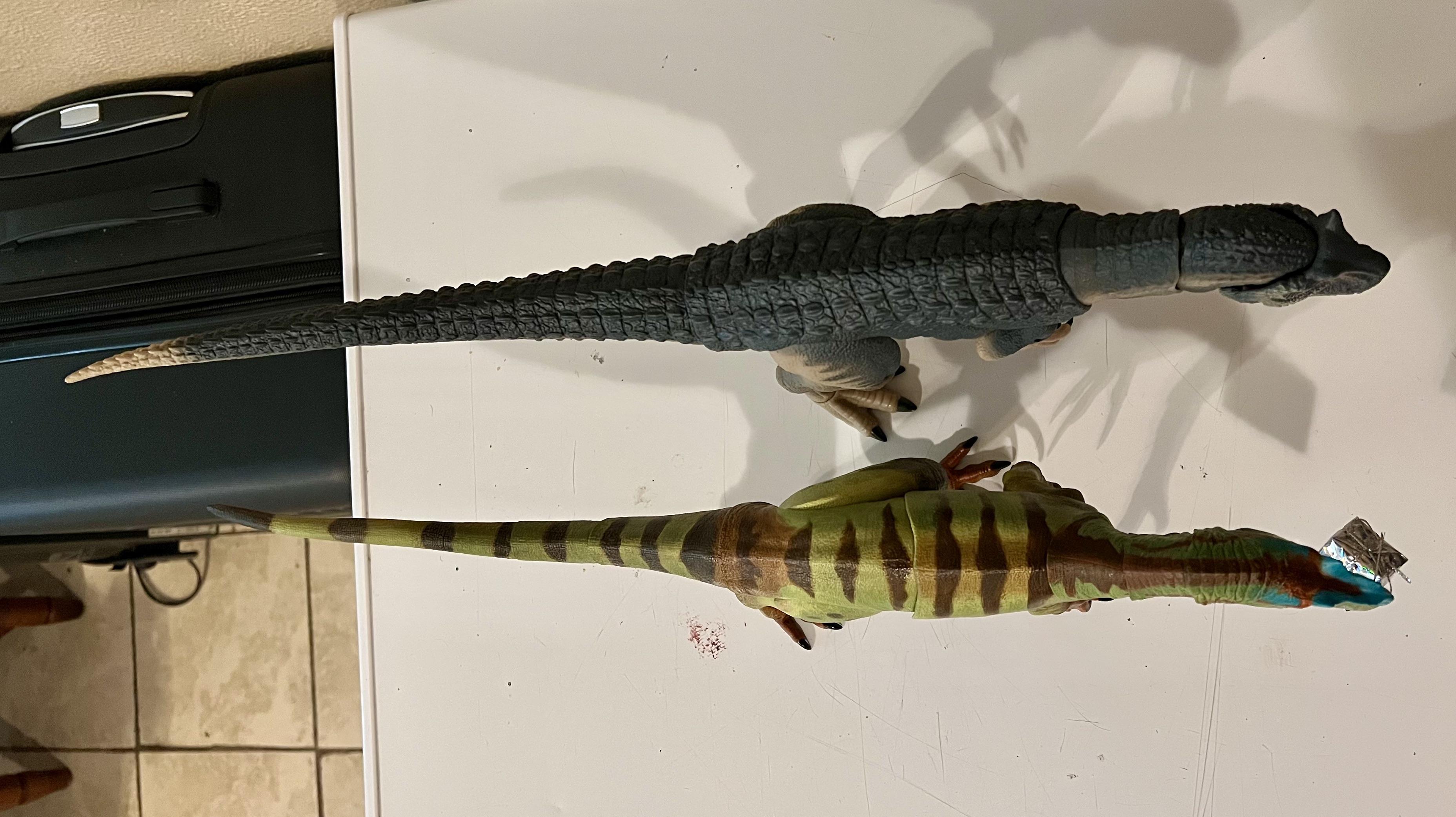 Hybrid Allosaurus versus Allosaurus fragilis | Scrolller