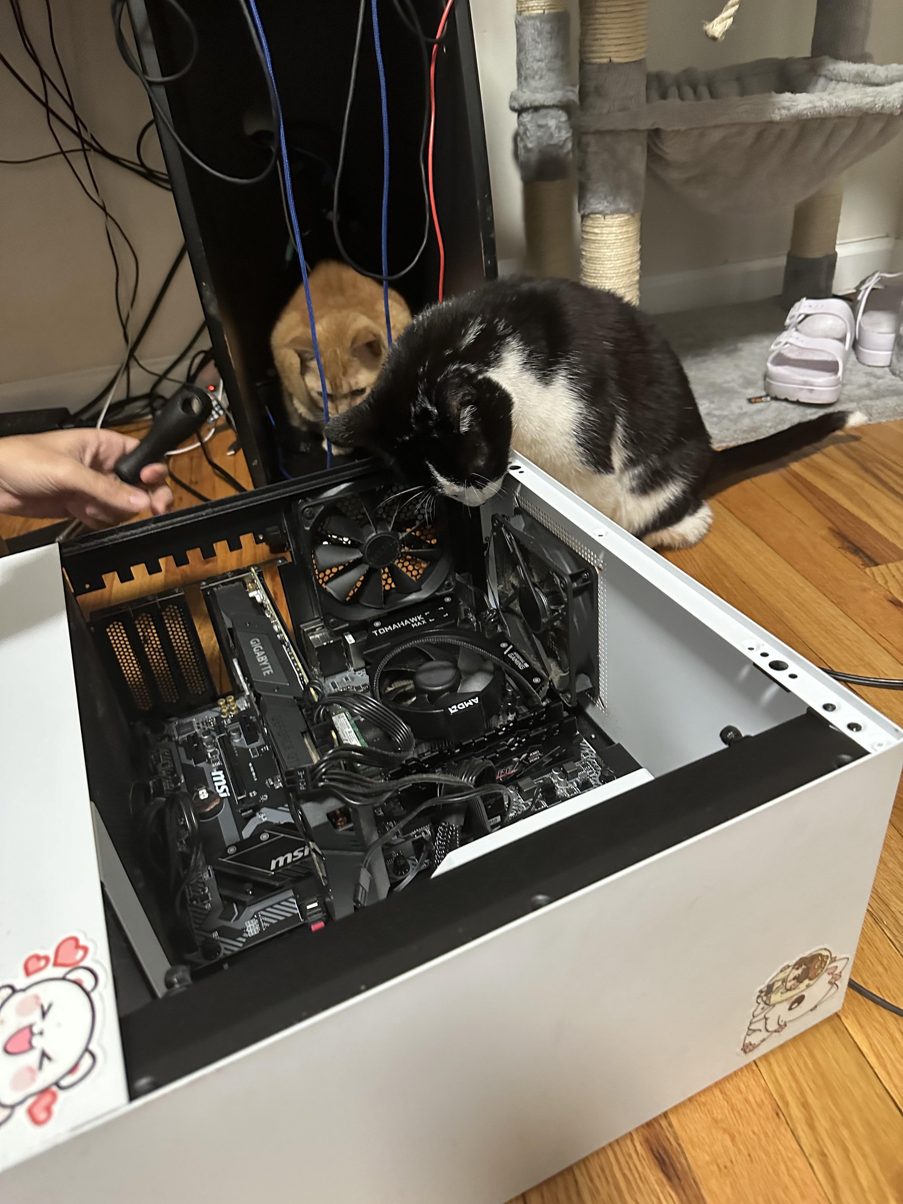 Upgrading my gpu | Scrolller