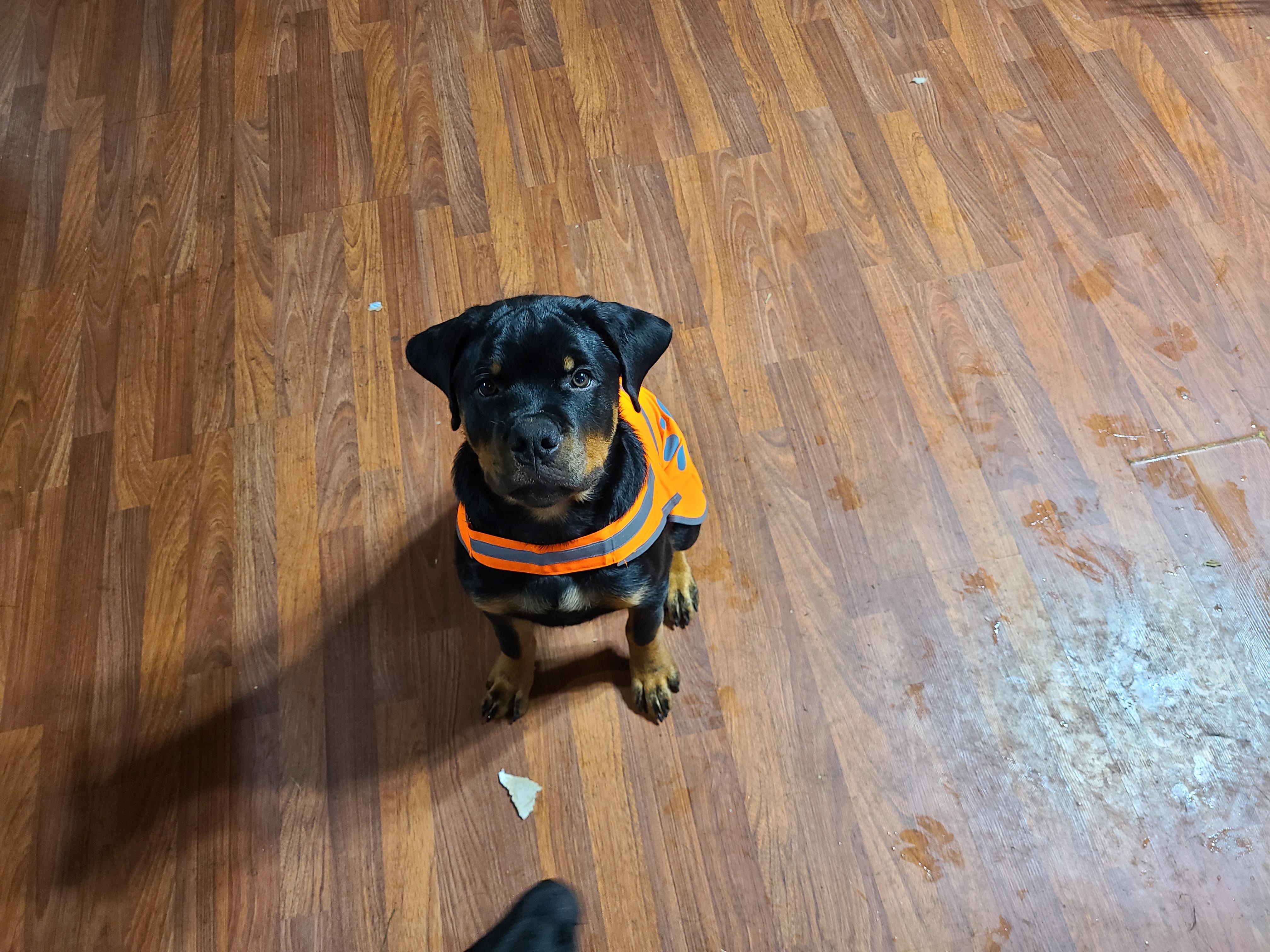 Safety 1st! | Scrolller