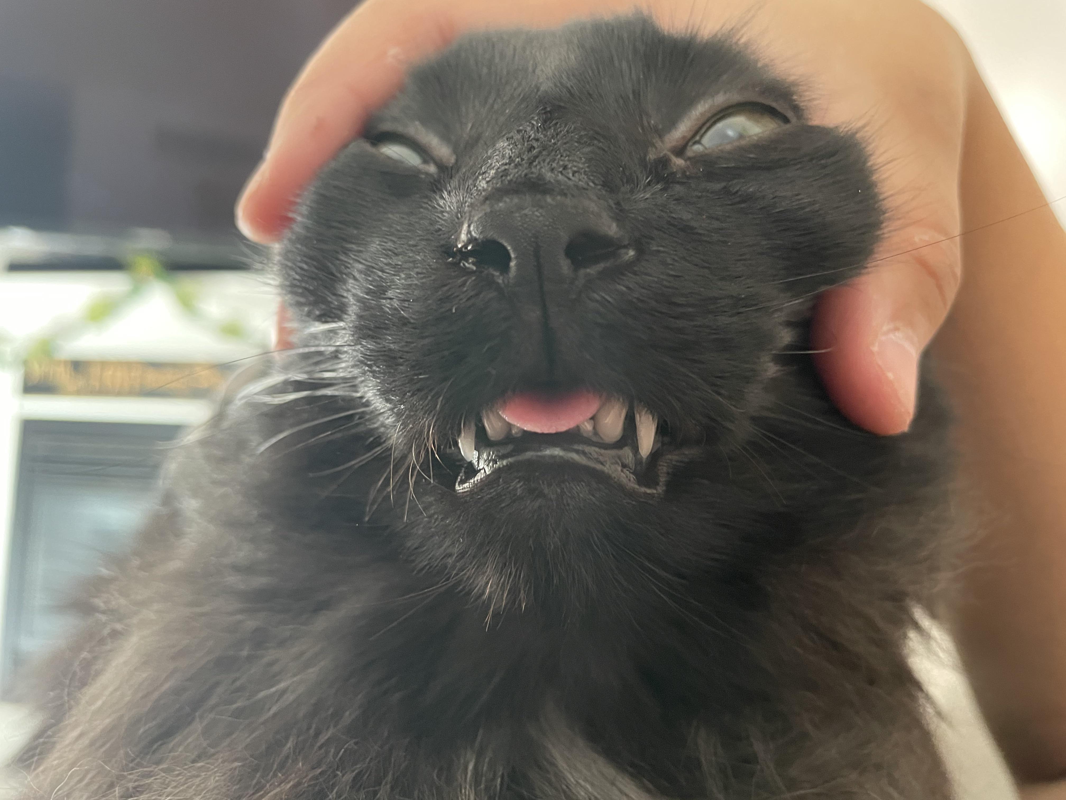 Why does he look like this im sobbing | Scrolller