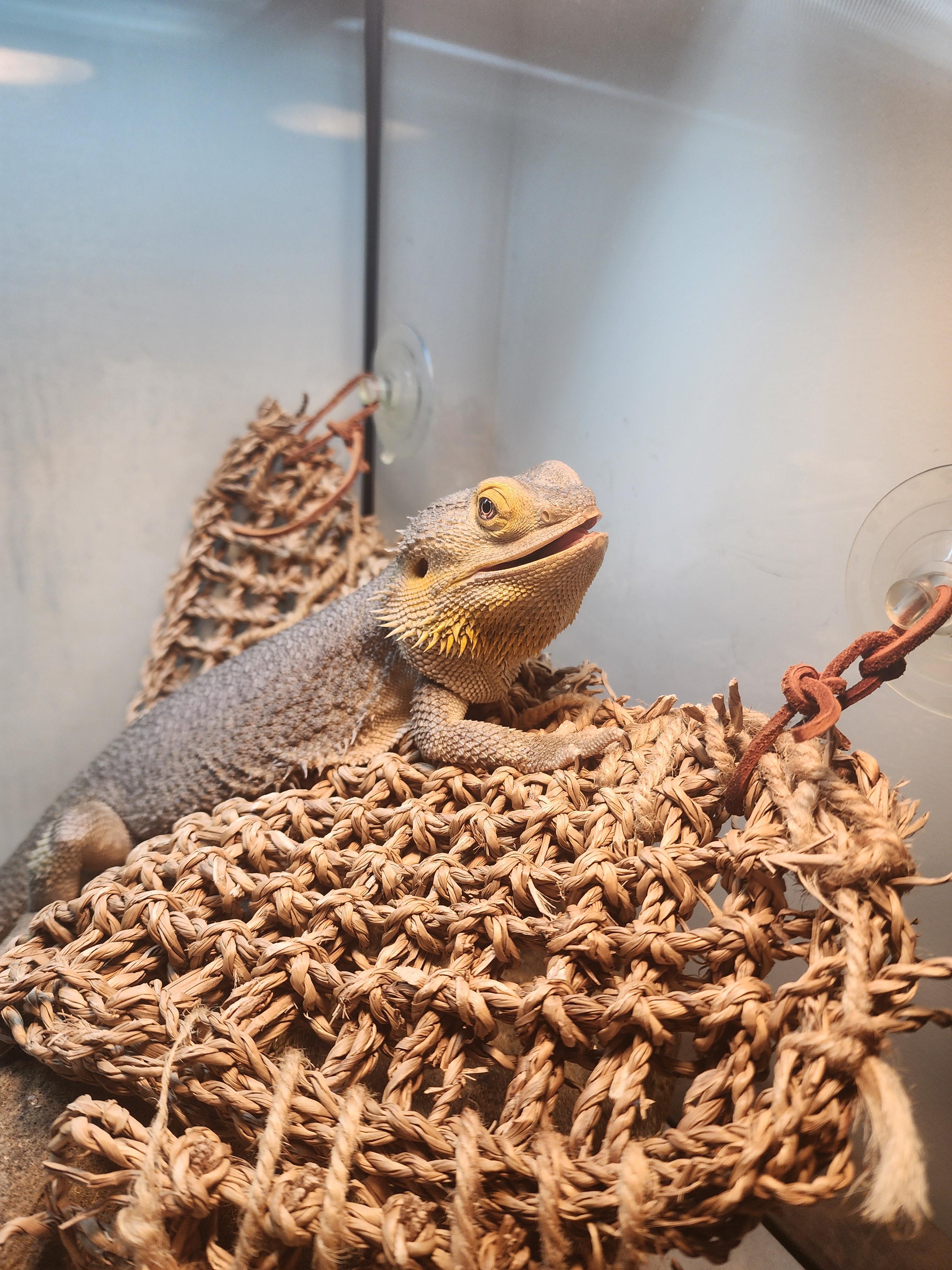 Just chilling | Scrolller