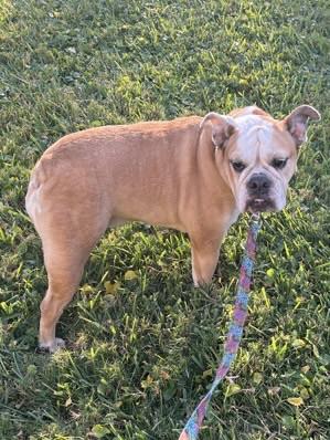 My Stella Bean! | Scrolller