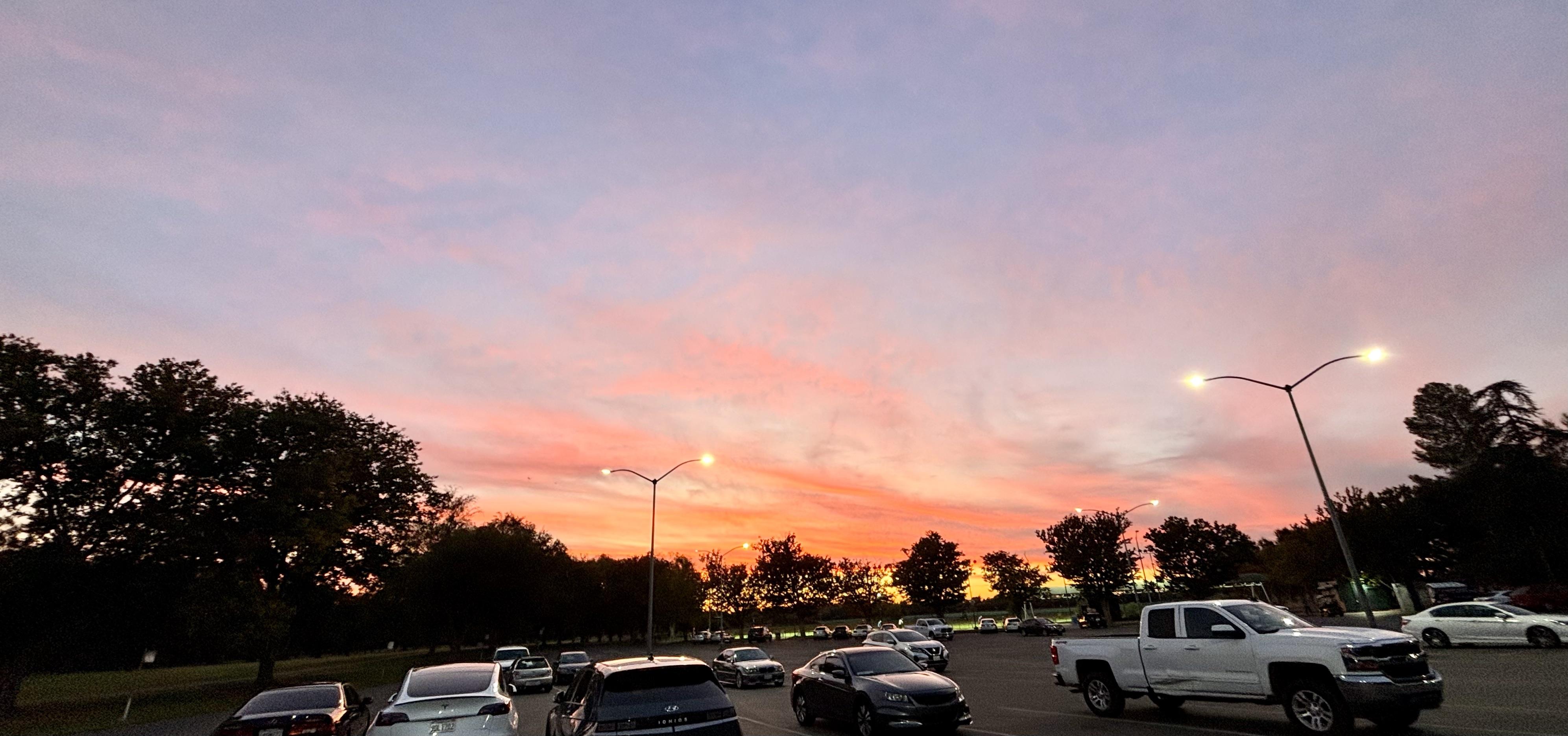 Twilight Gang Checking In | Scrolller