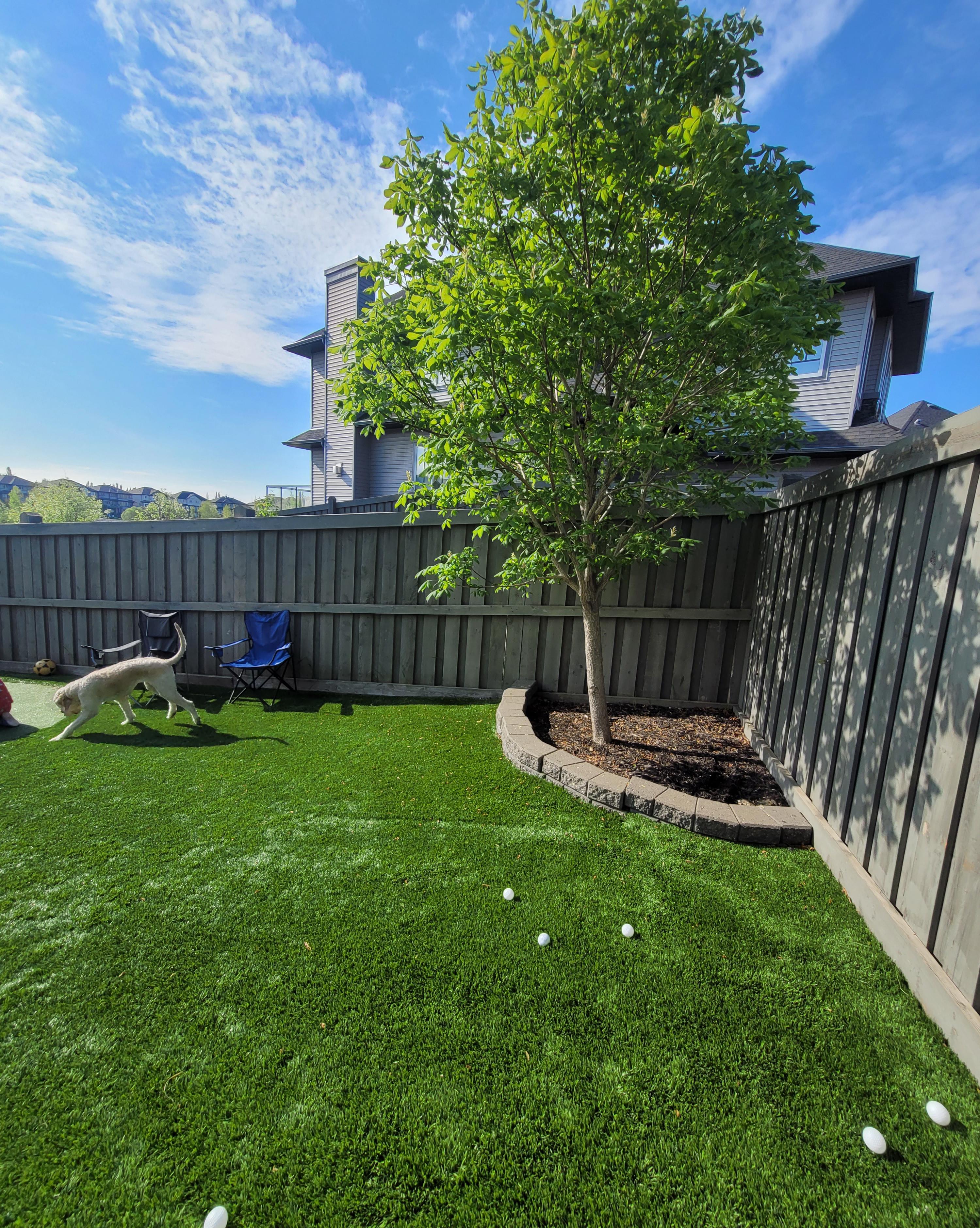 Possible to lay down boards beside a tree for kids playhouse? | Scrolller