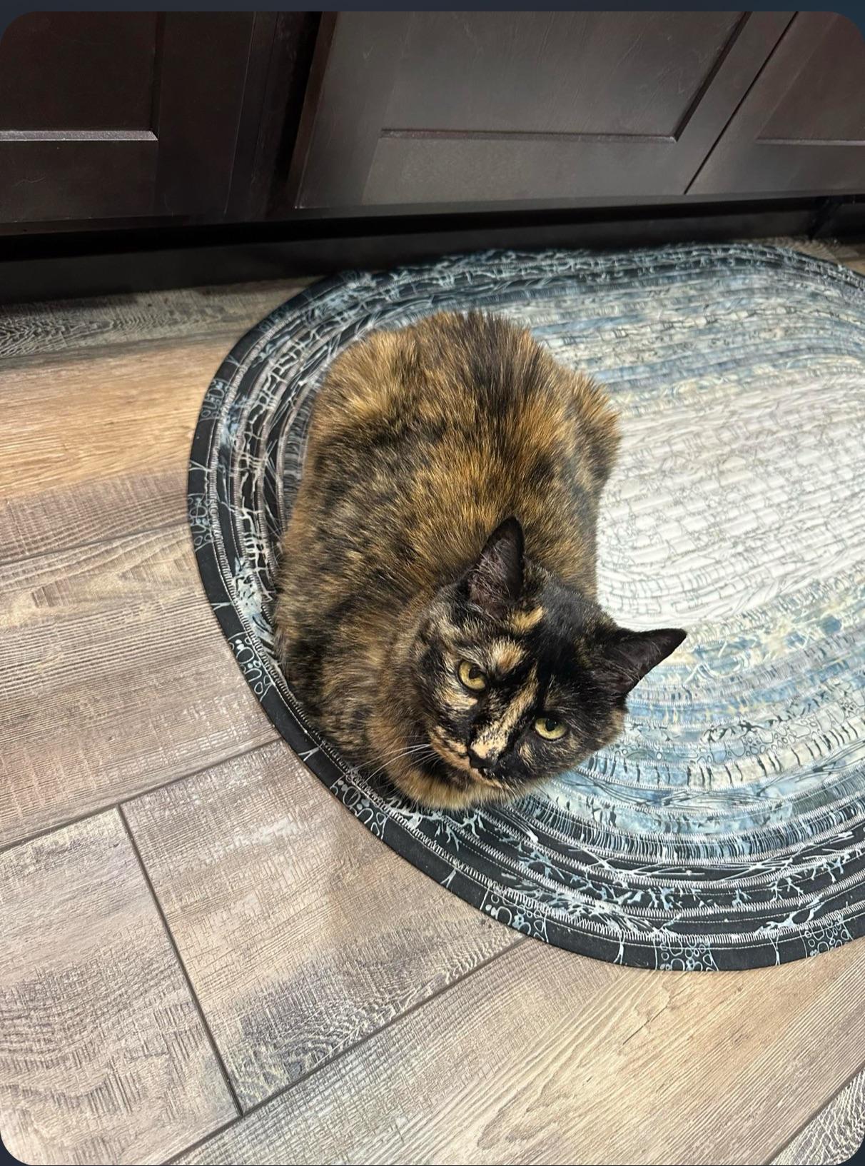 Post your loaf | Scrolller