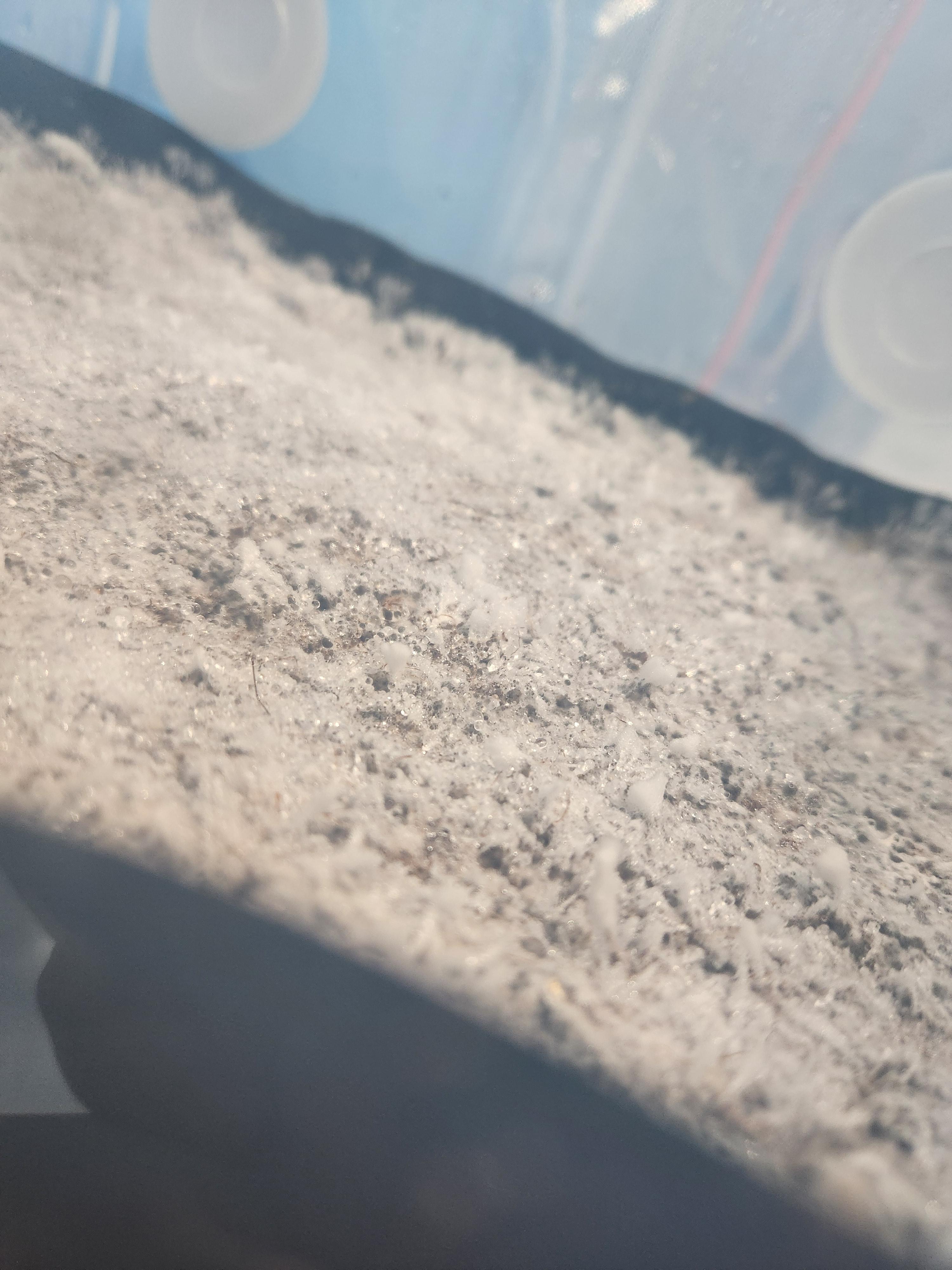 [Actives] surface conditions off? | Scrolller