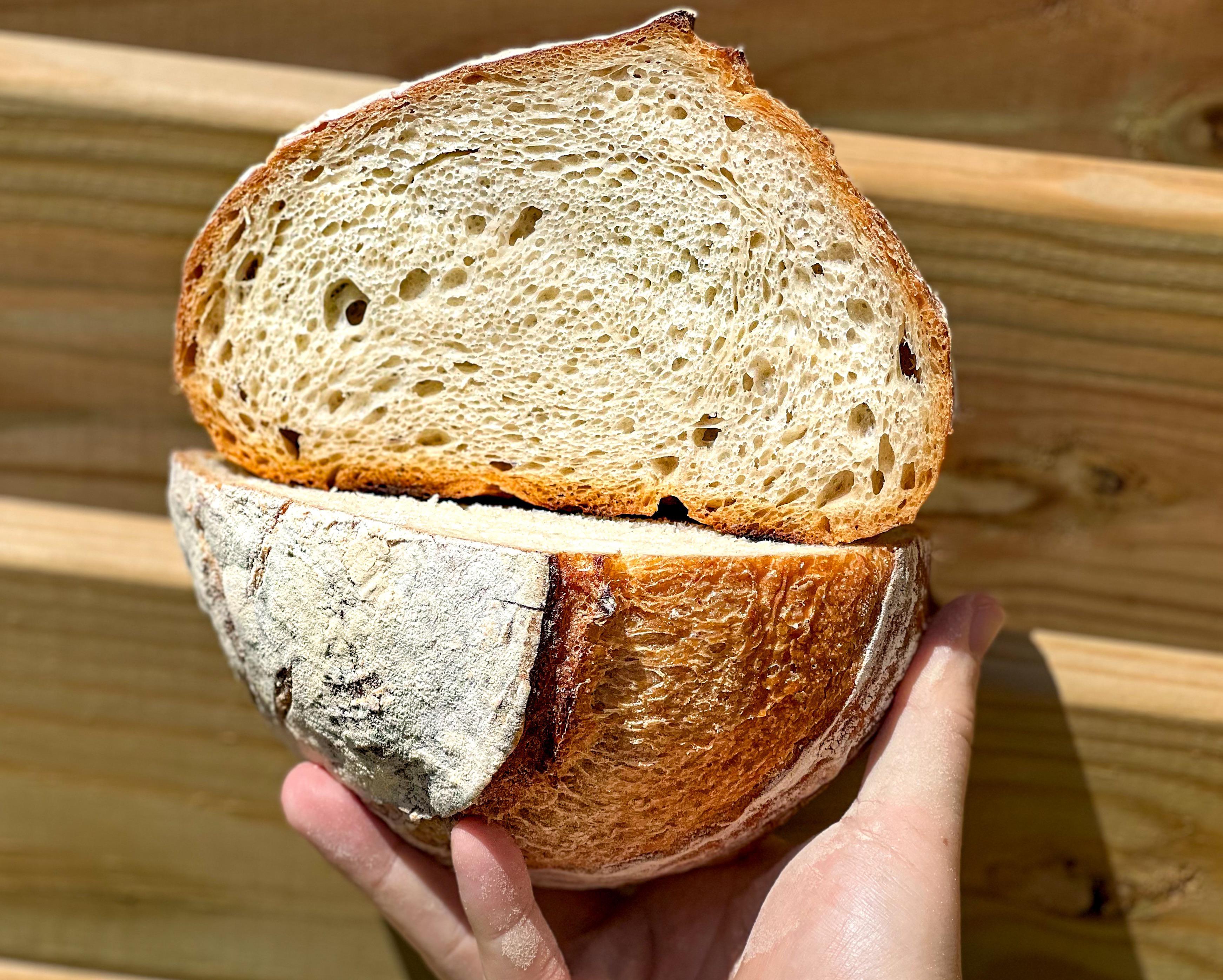 Pretty proud of this batch | Scrolller