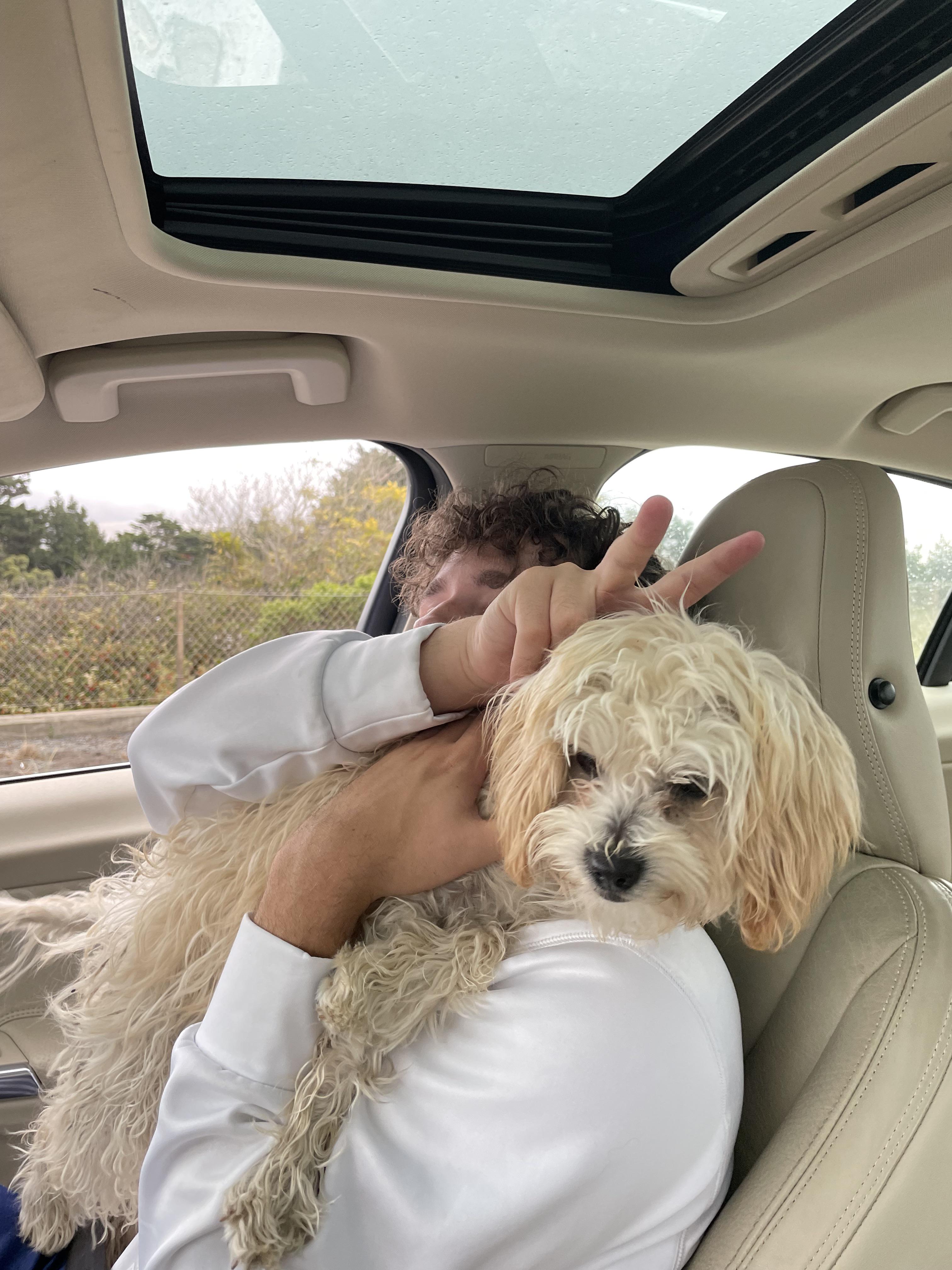 (OC) Puppy Poppy’s first time at the beach :) | Scrolller