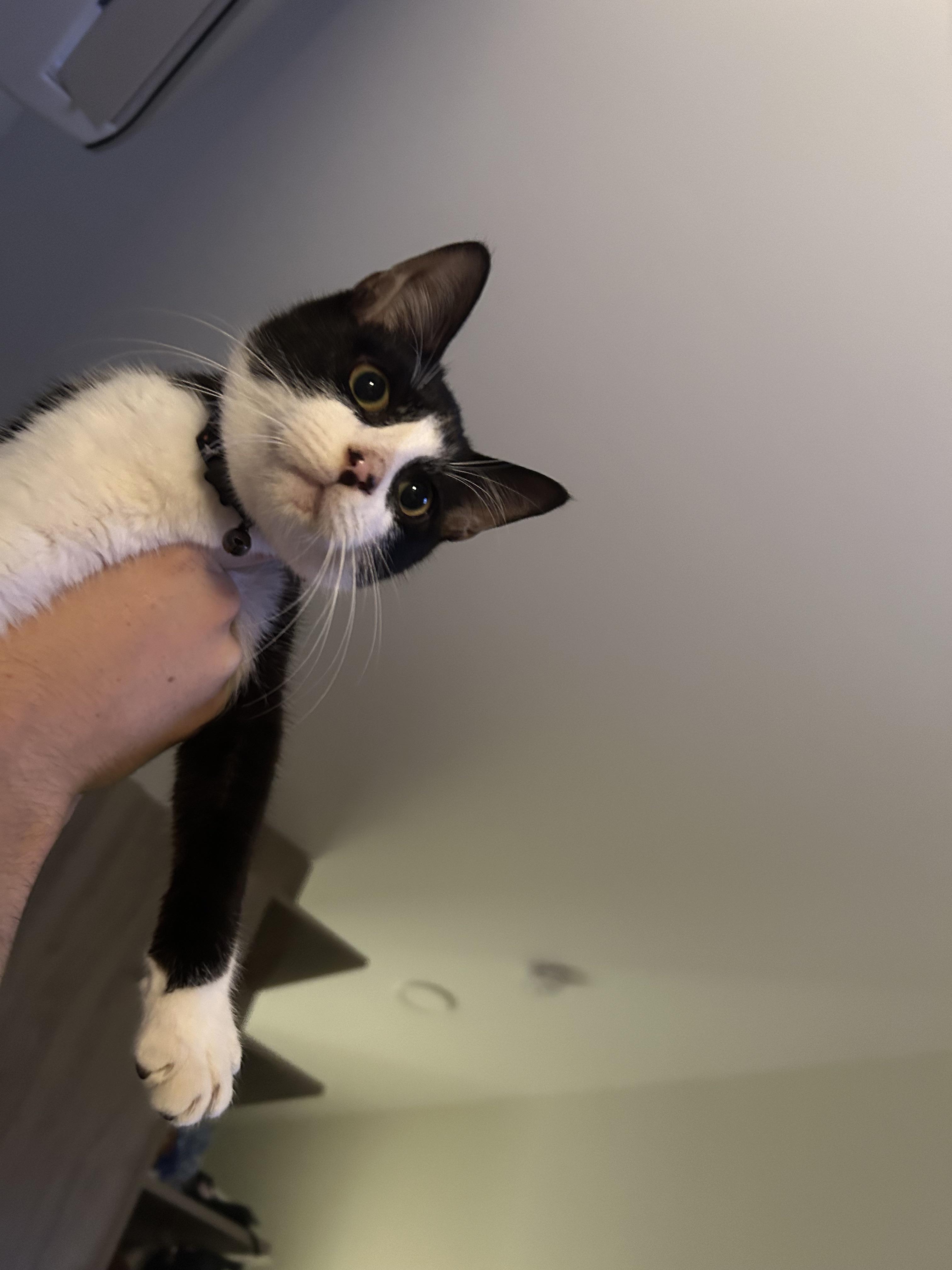 A home for my children | Scrolller