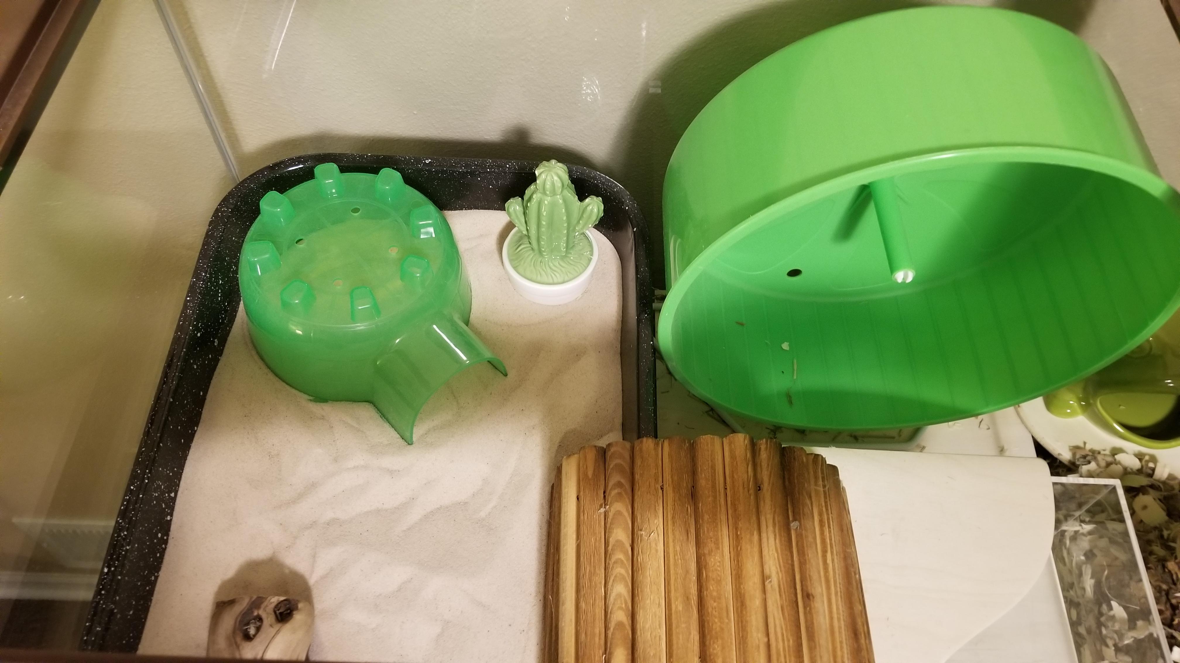 Enclosure Update | Scrolller