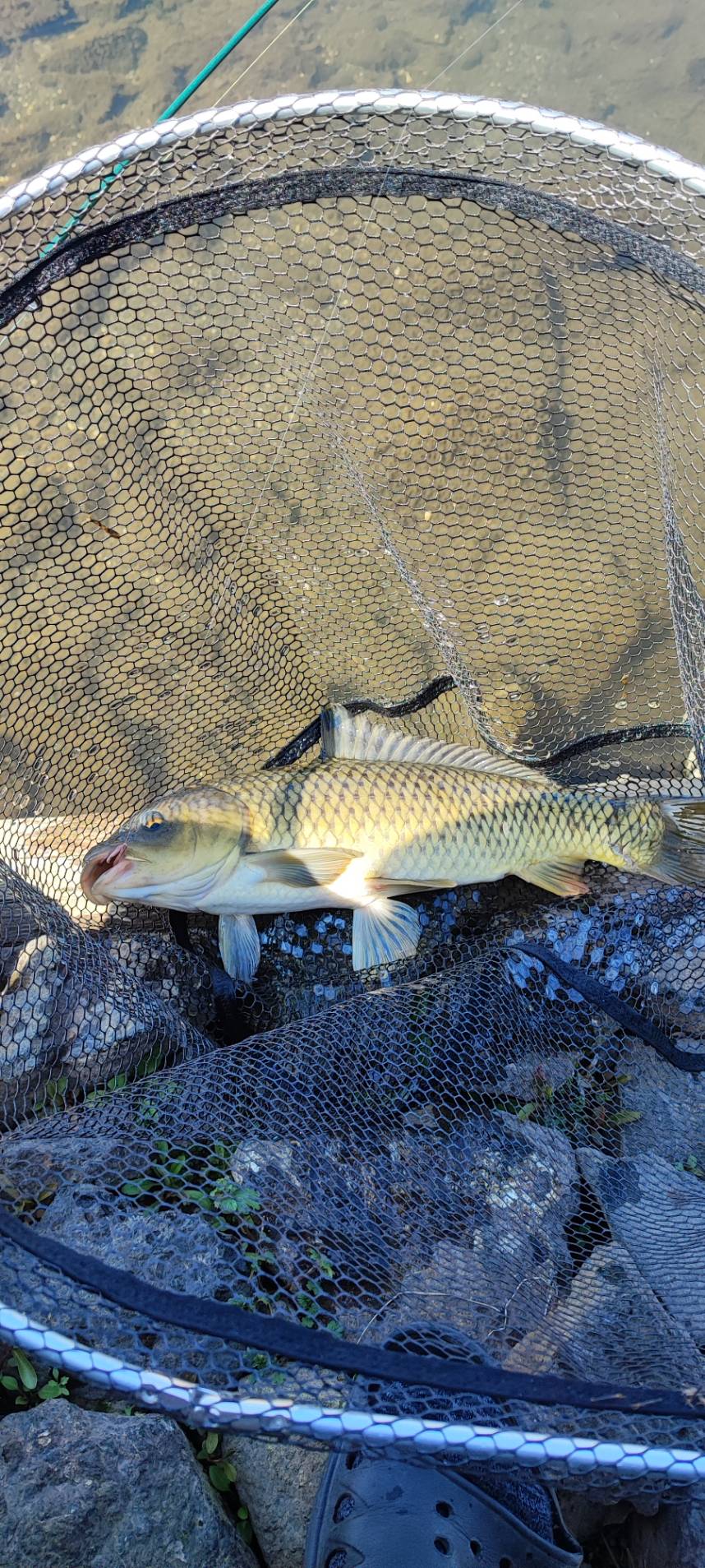 Today's catch | Scrolller