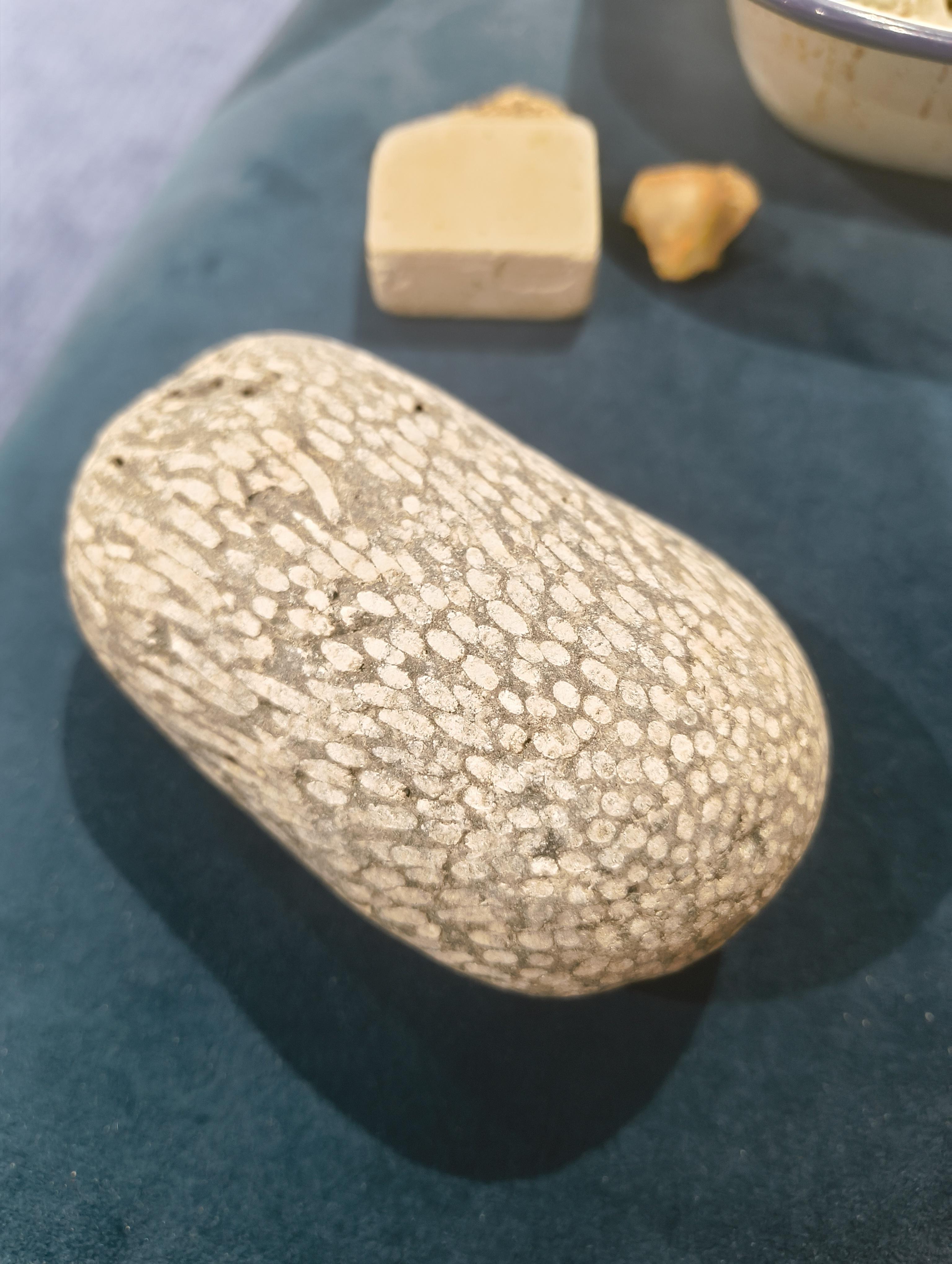 Does anyone know what this is exactly? | Scrolller