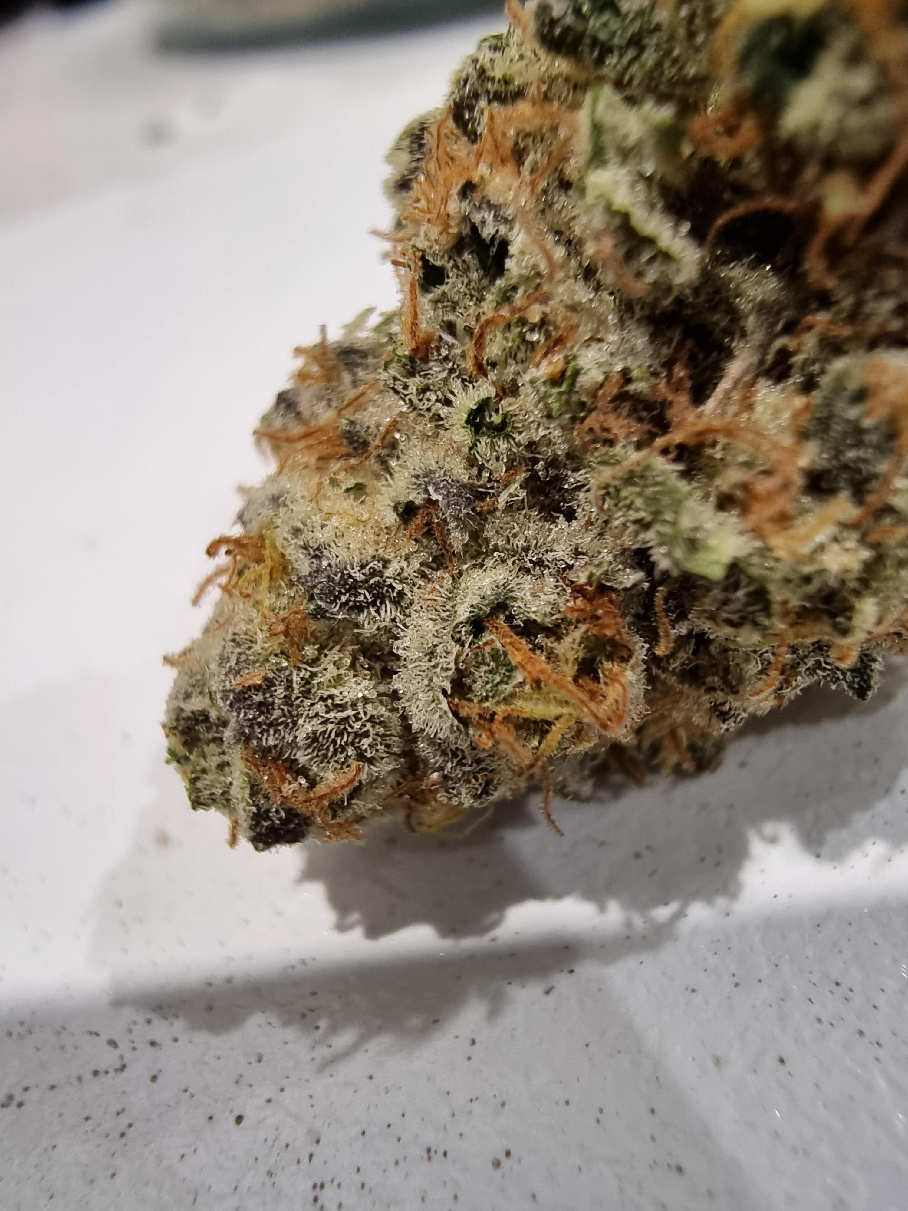 Mango Tango | Scrolller