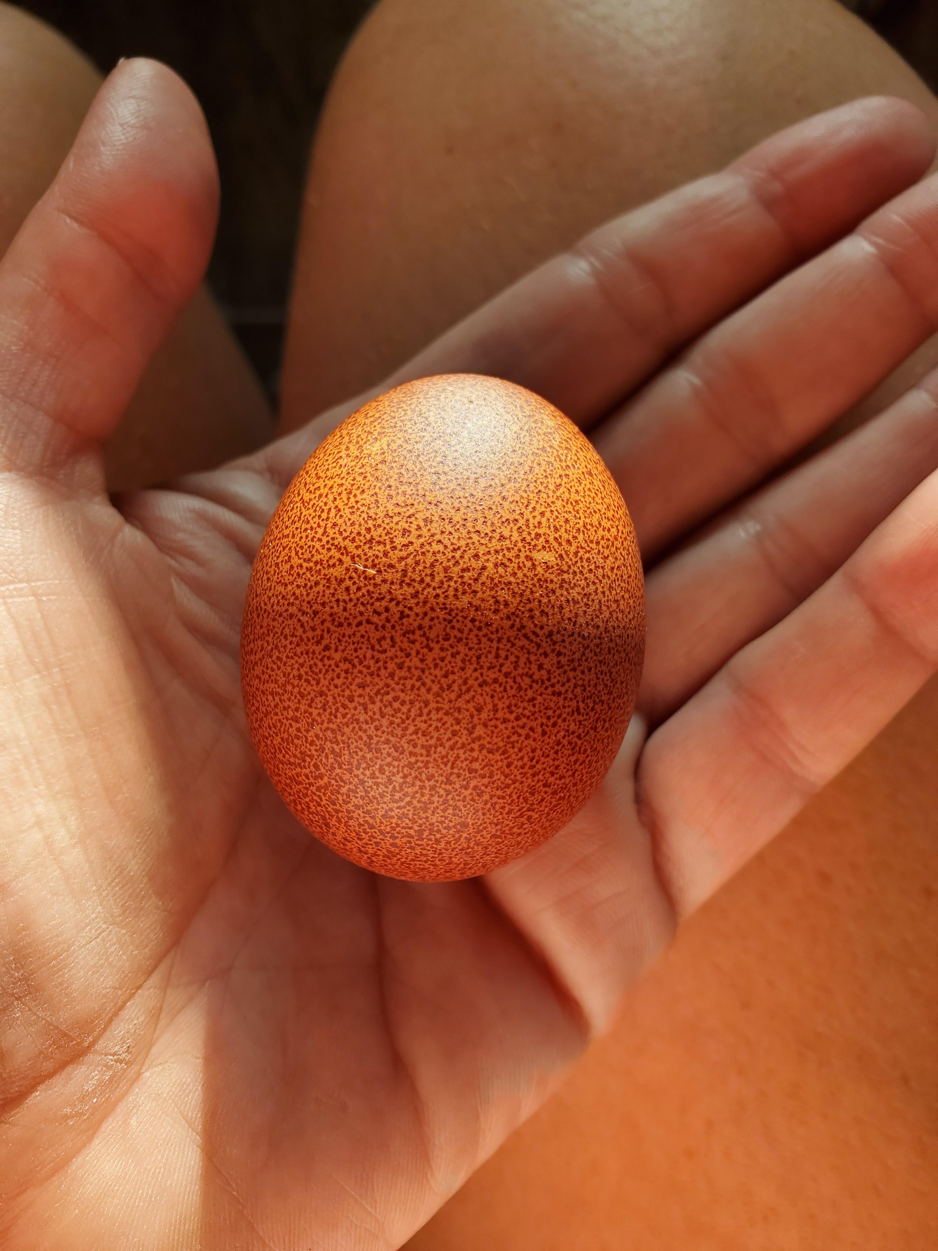 Just here to share this beautiful egg | Scrolller