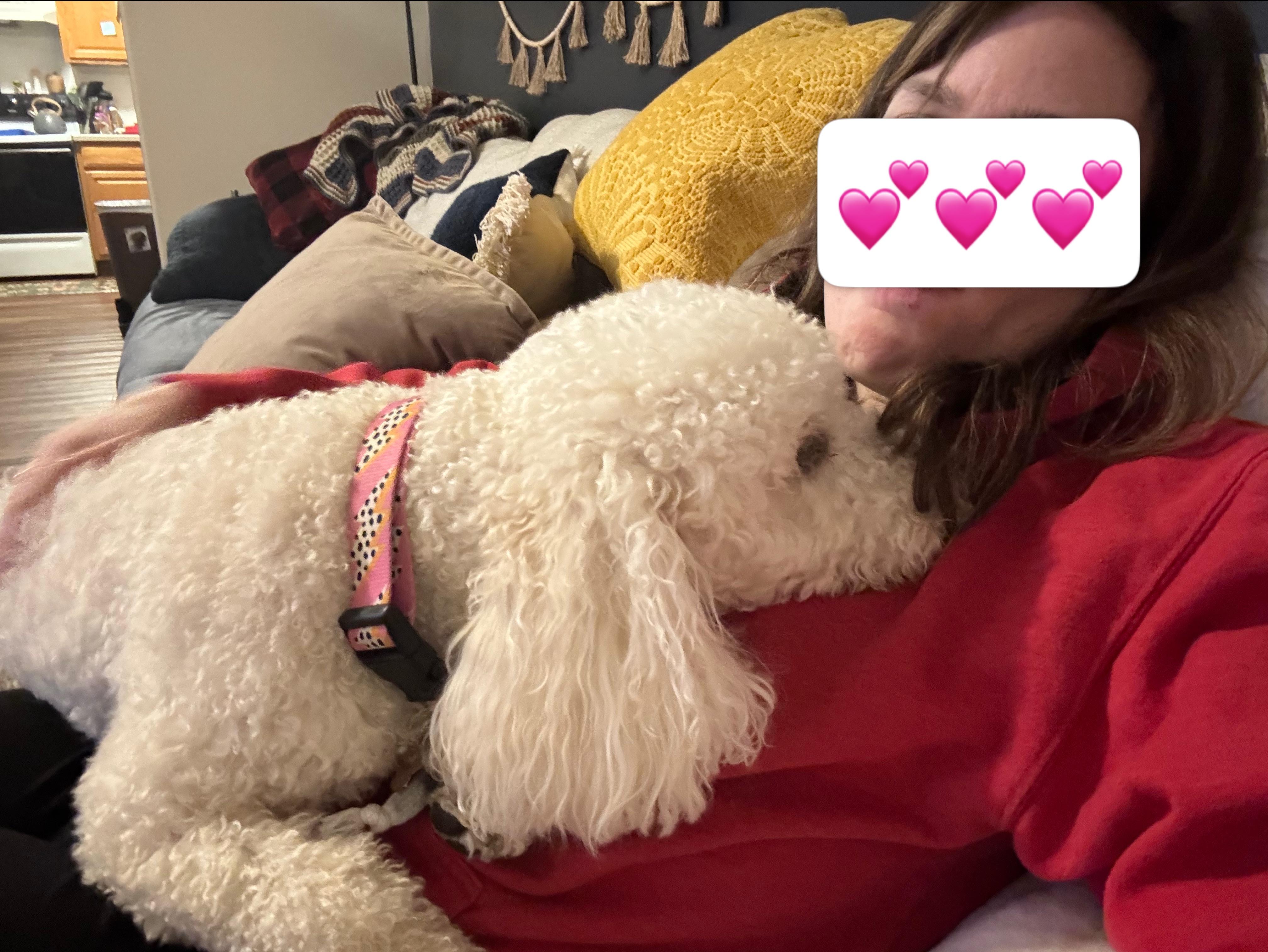 She needed to tell me all about her ruff day | Scrolller