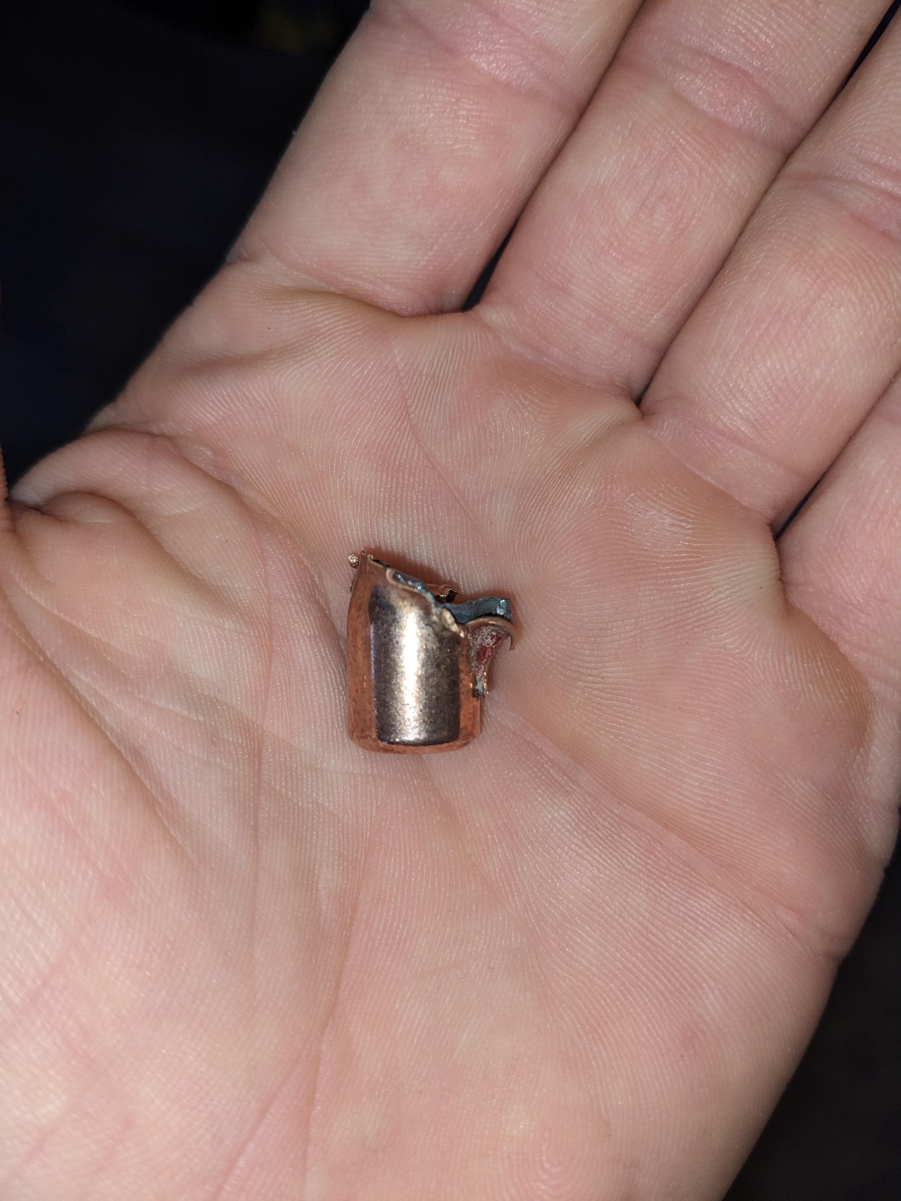 Any love for dark horns? | Scrolller