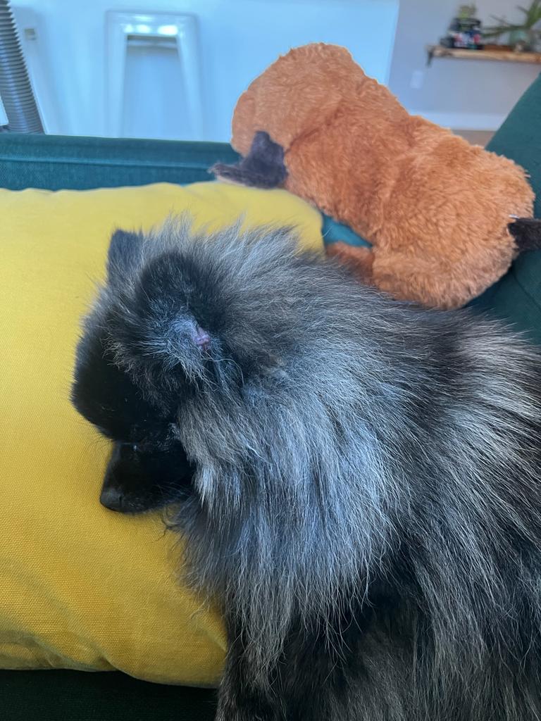 The before and after waking up from a nap | Scrolller