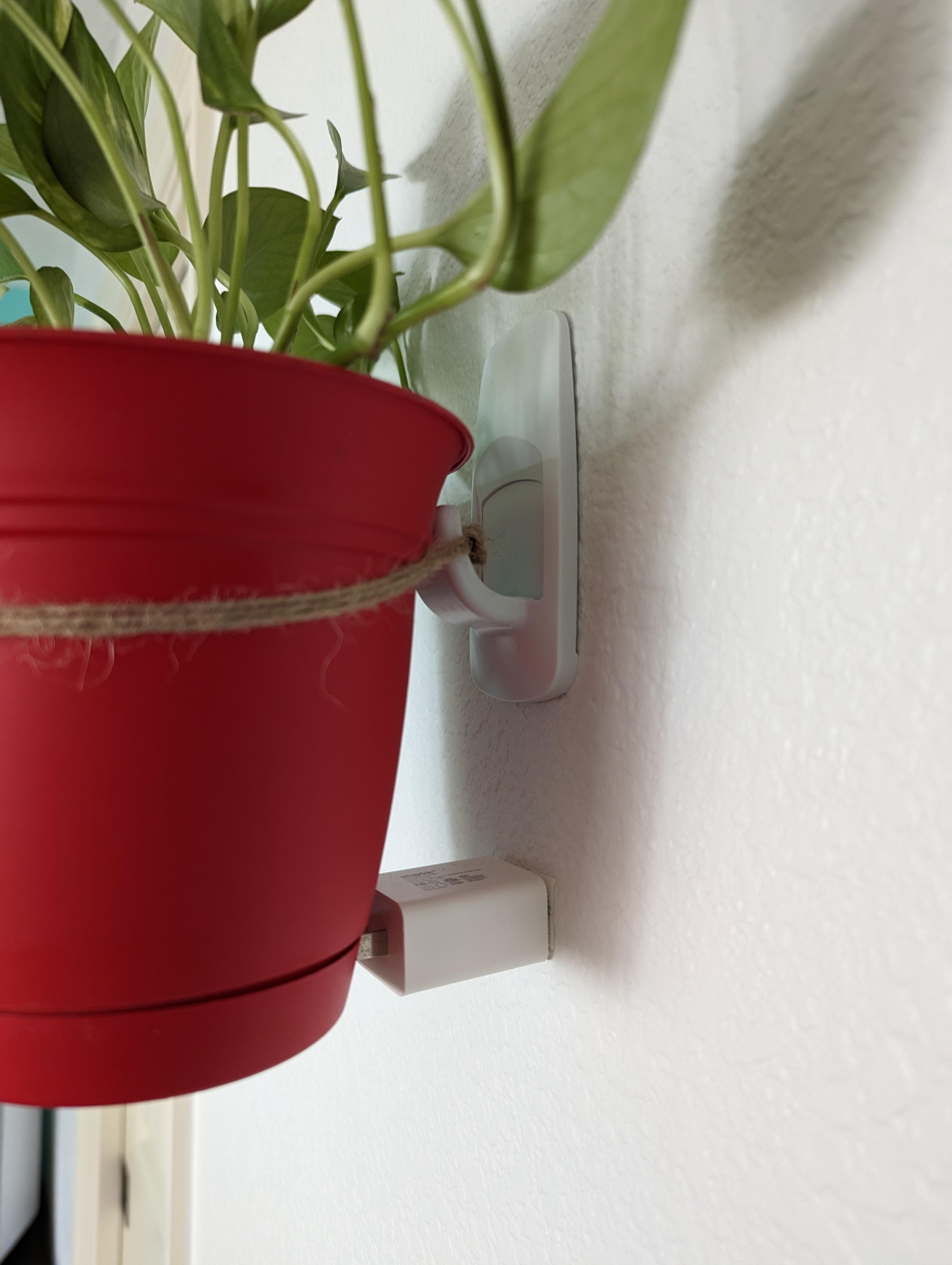 Floating Plants! | Scrolller