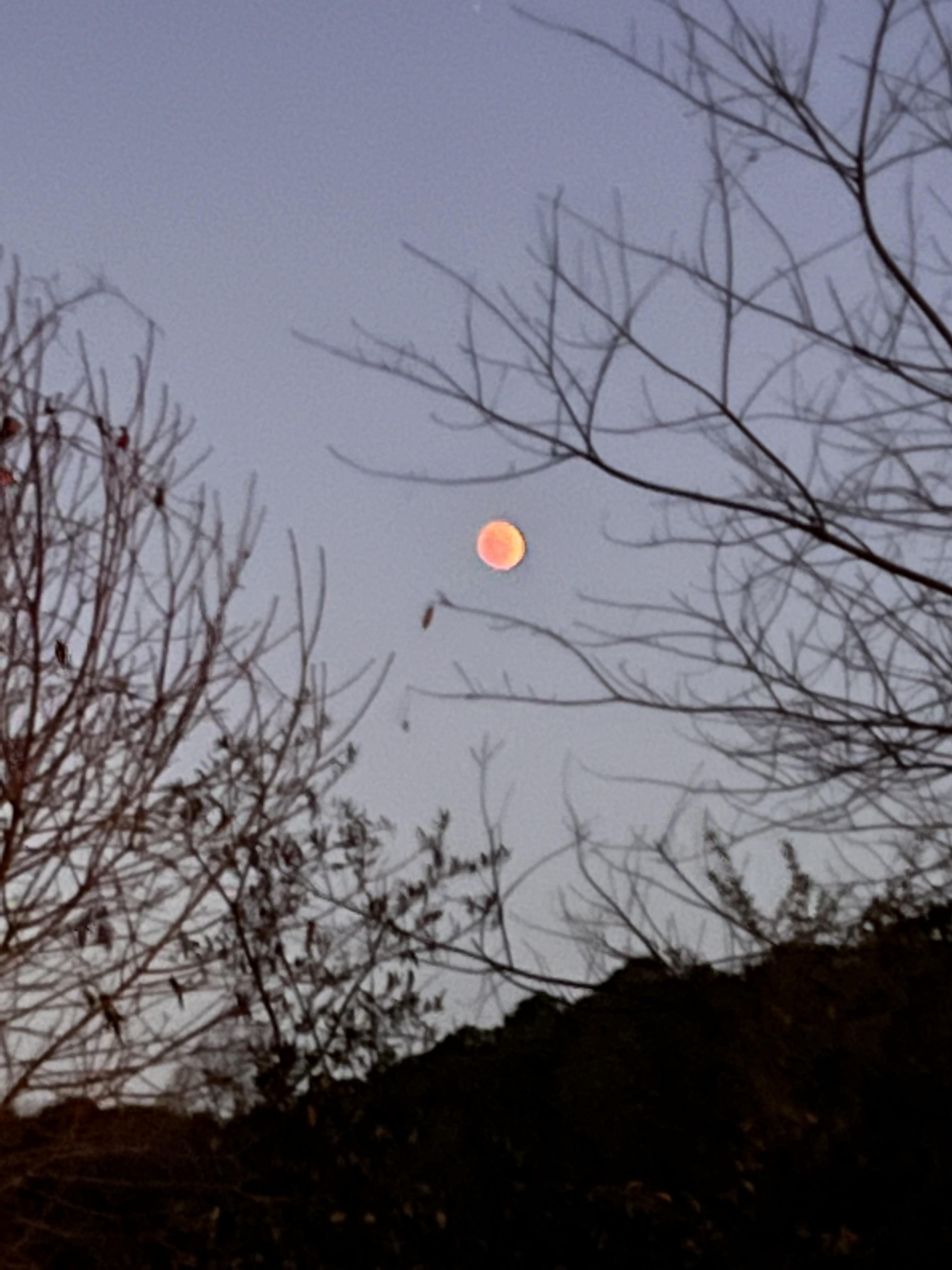 Eclipse photos I took | Scrolller