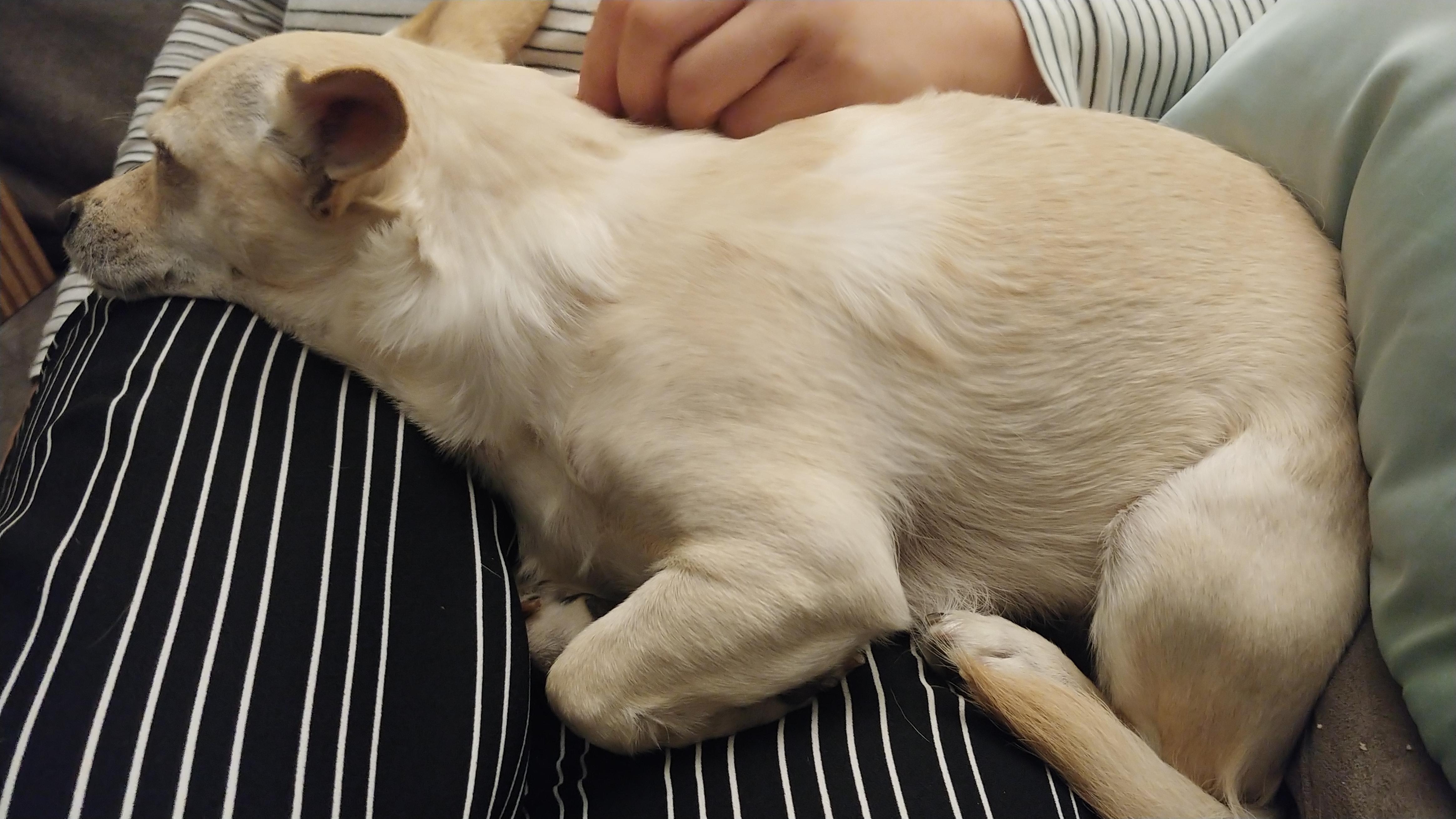 Saturday Ham | Scrolller