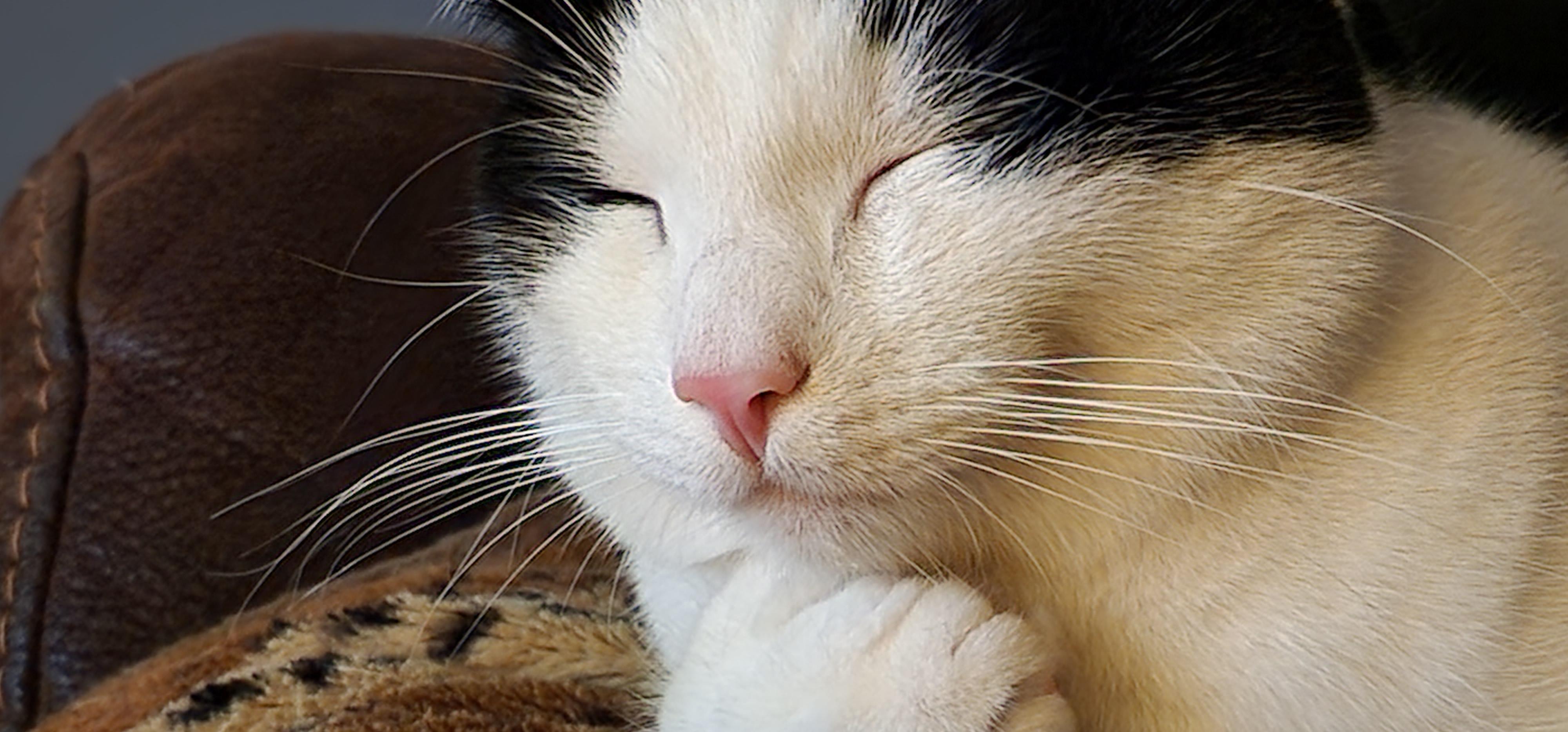 He is so handsome | Scrolller