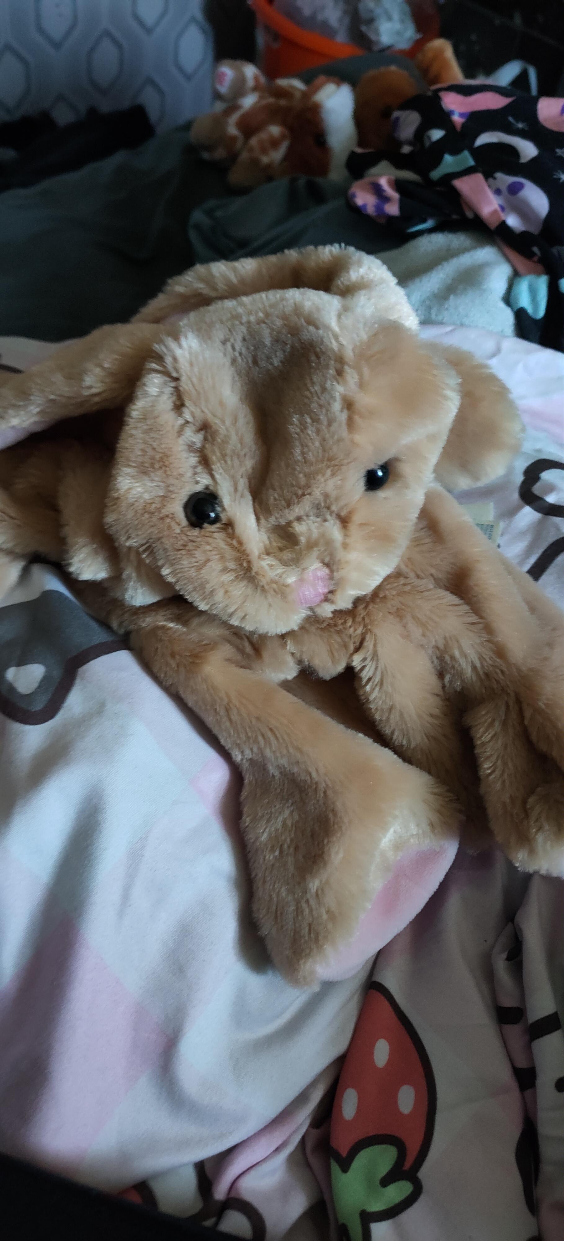 Help with getting this stuffed? | Scrolller