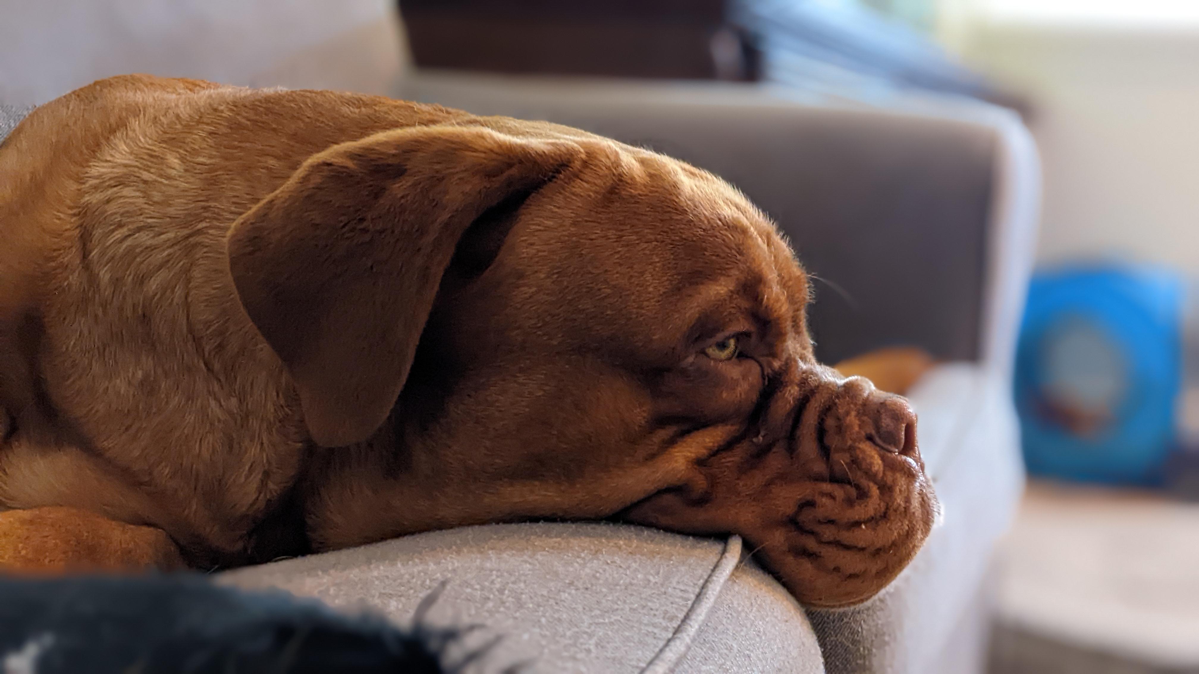 Always watching | Scrolller