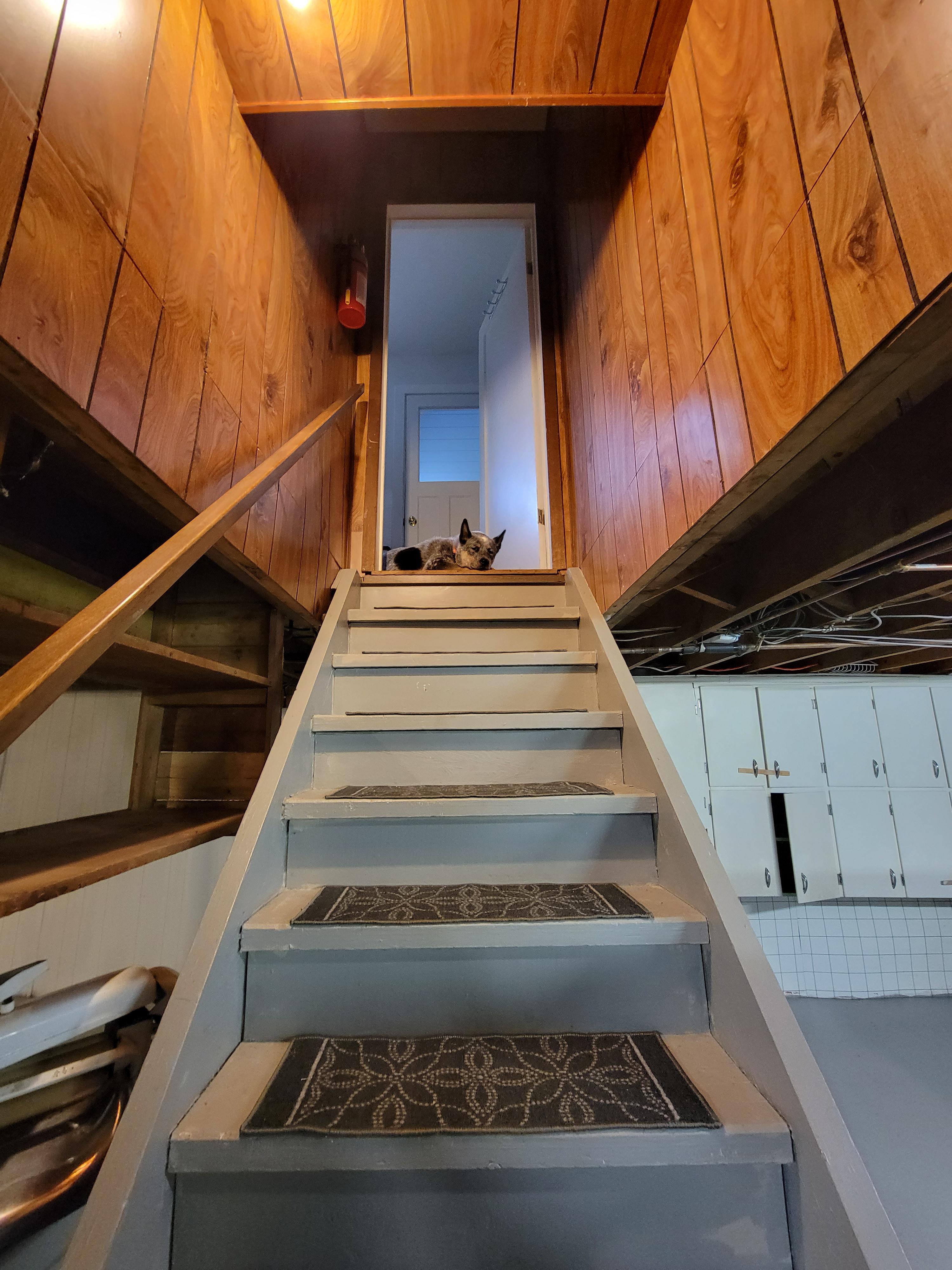 ️ always watching | Scrolller