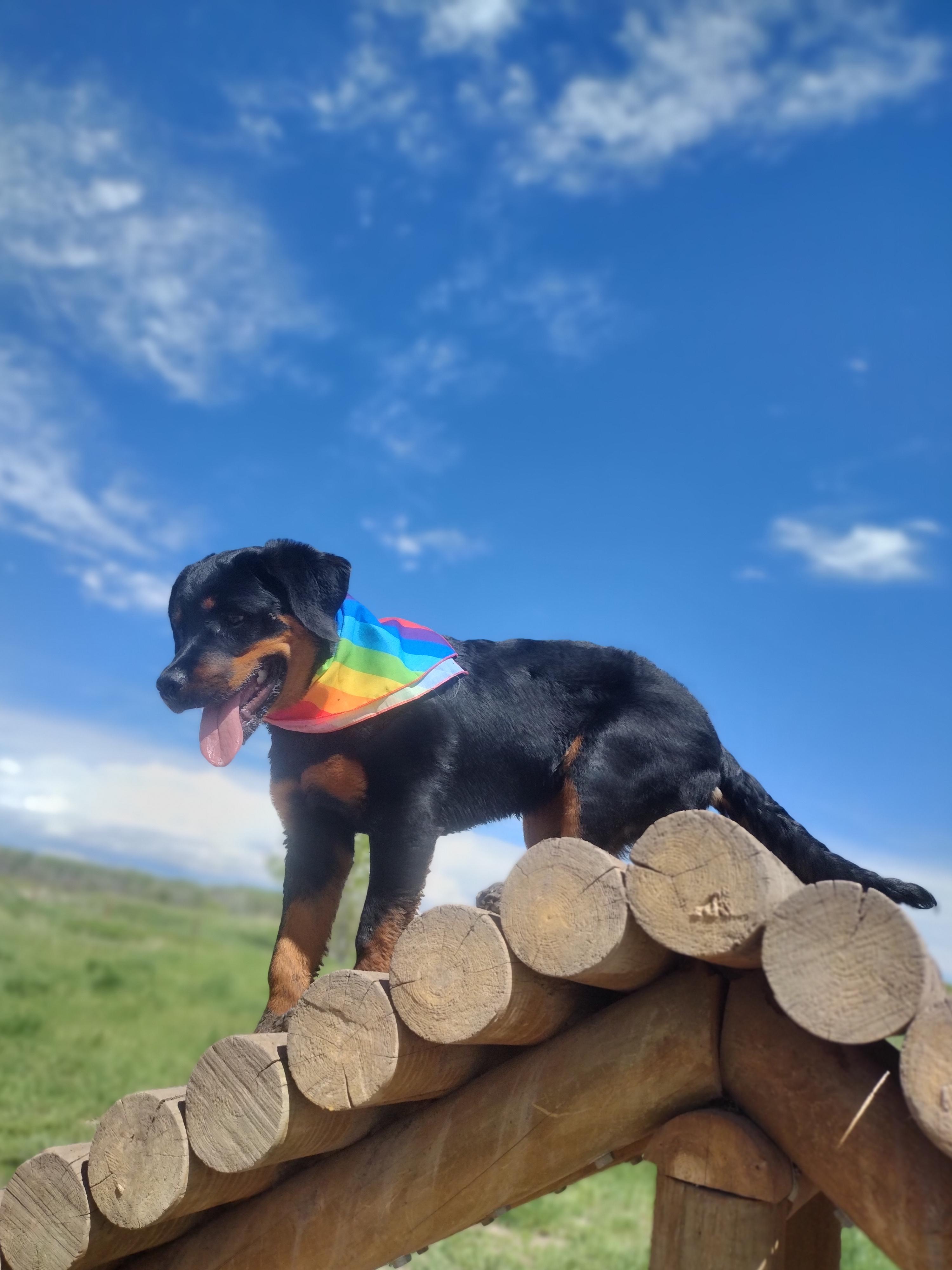 Happy June! | Scrolller