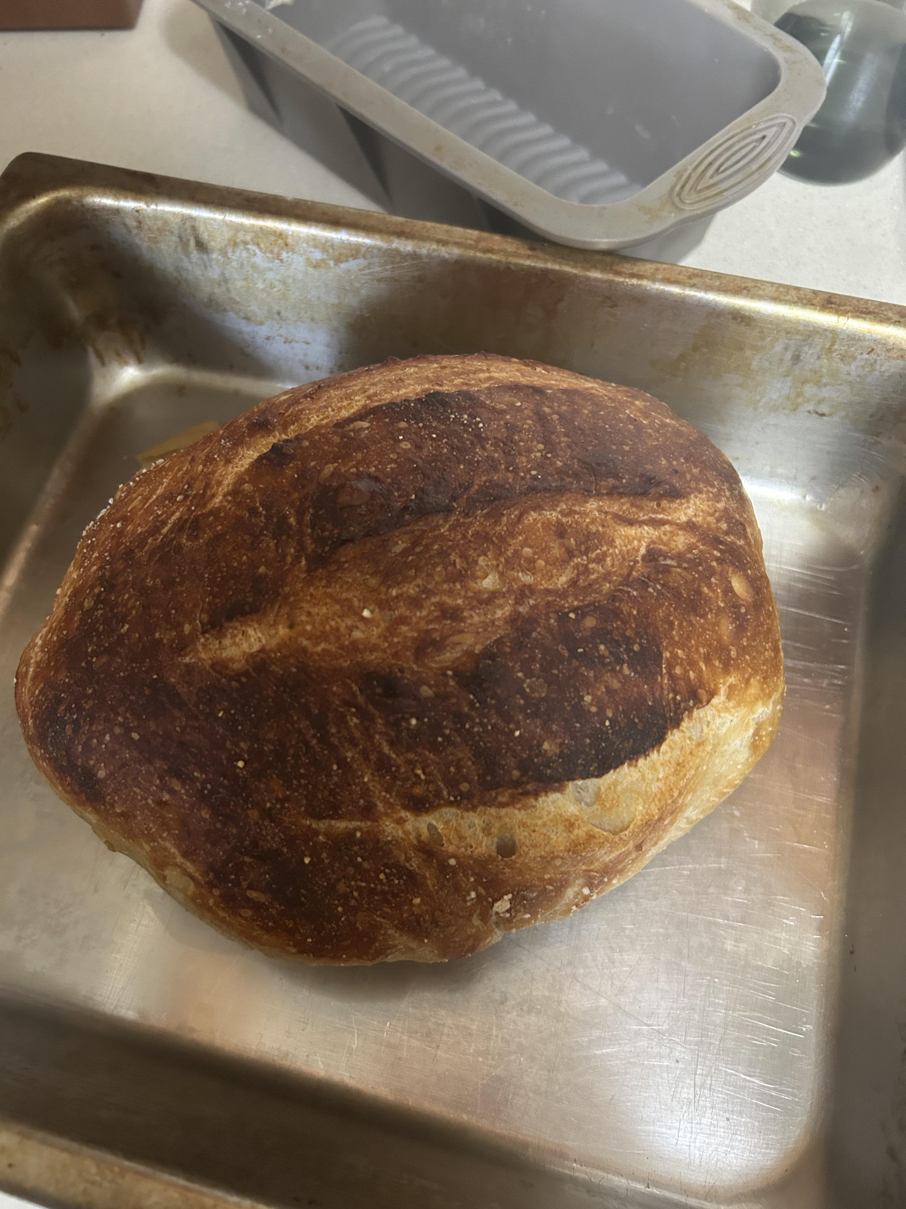 First sourdough attempt! | Scrolller