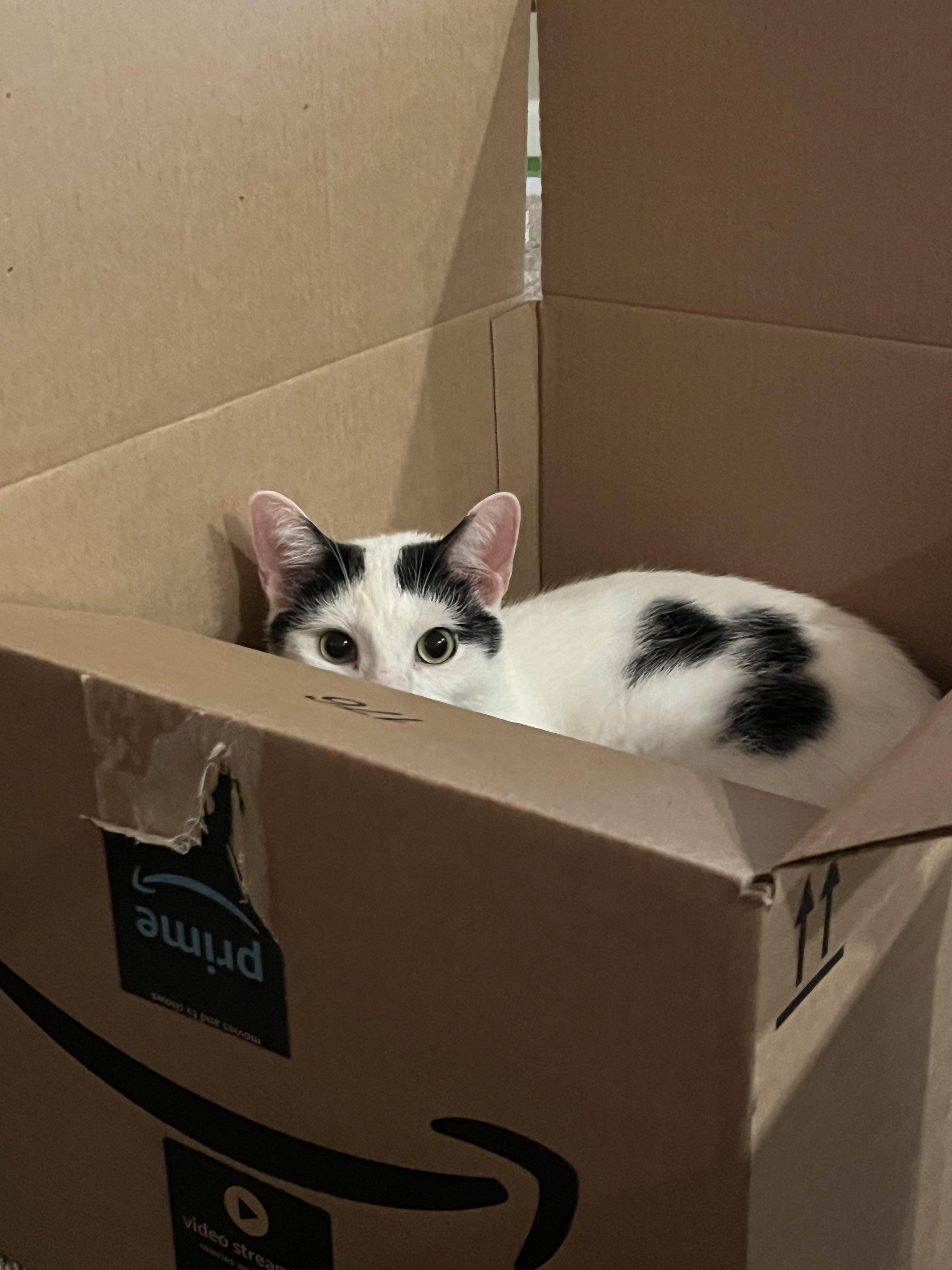 ‘Tis the damn season | Scrolller