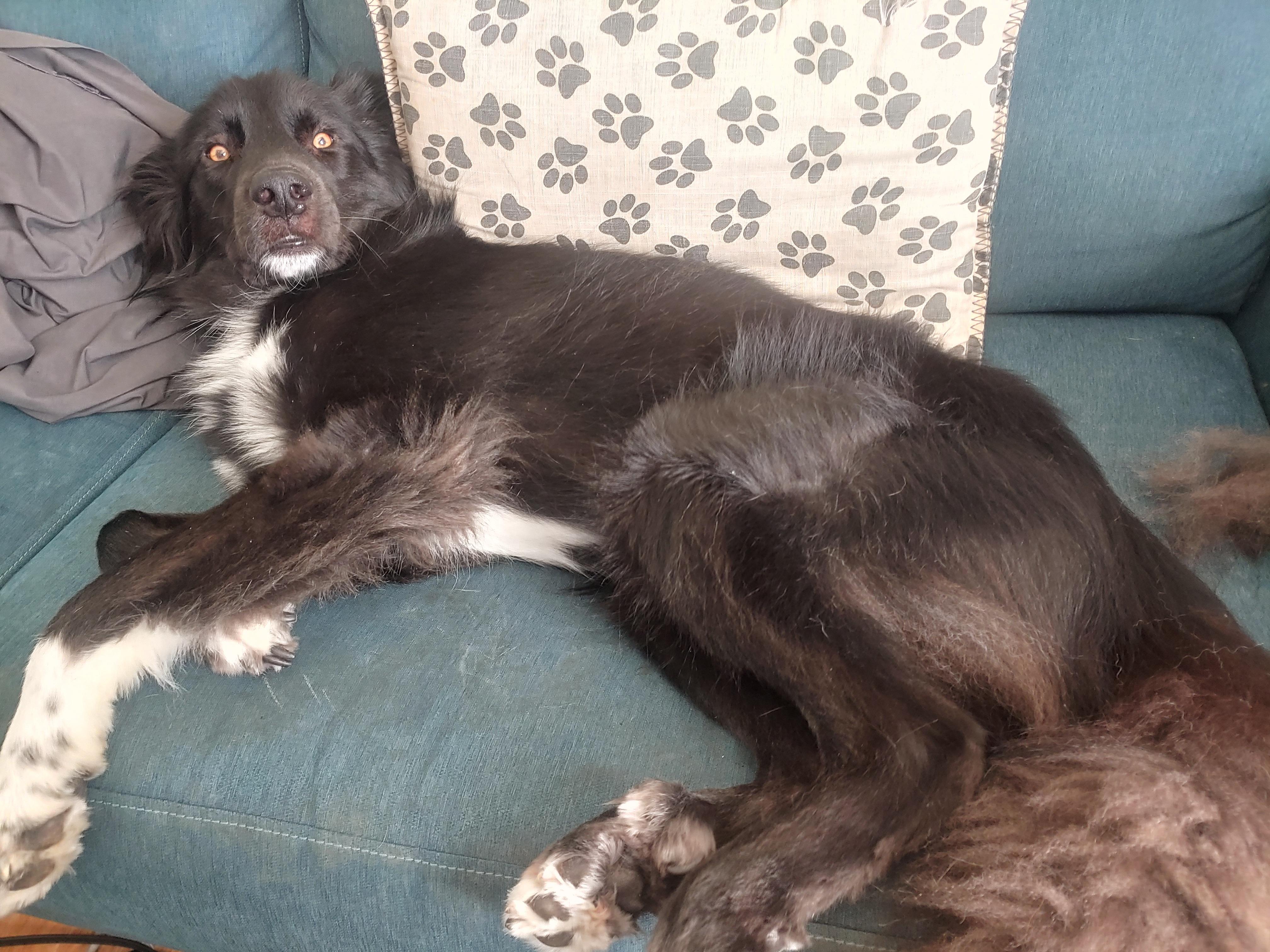 Emergency Help Identifying Seed | Scrolller