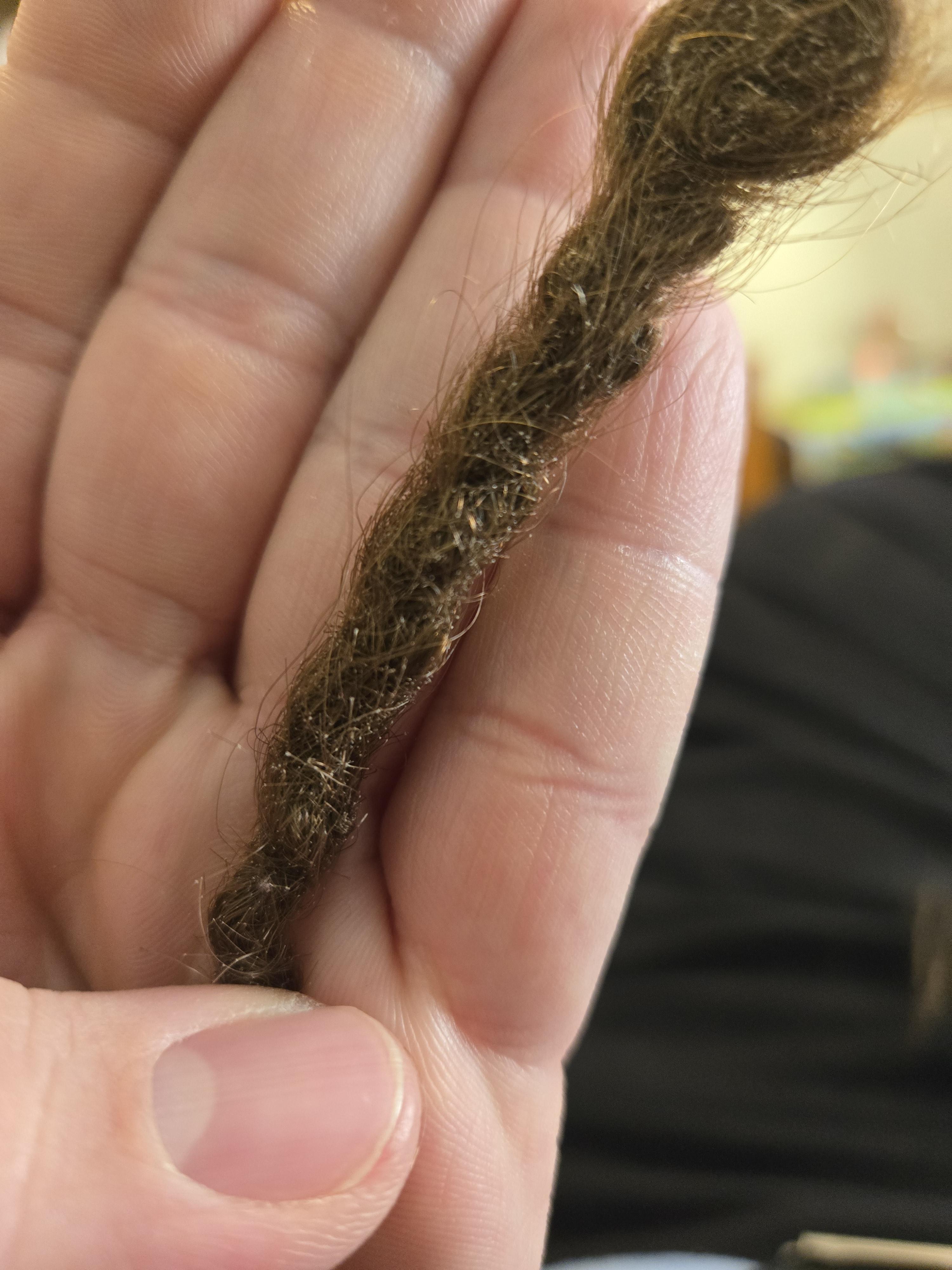 Lint buildup in my dreads. | Scrolller
