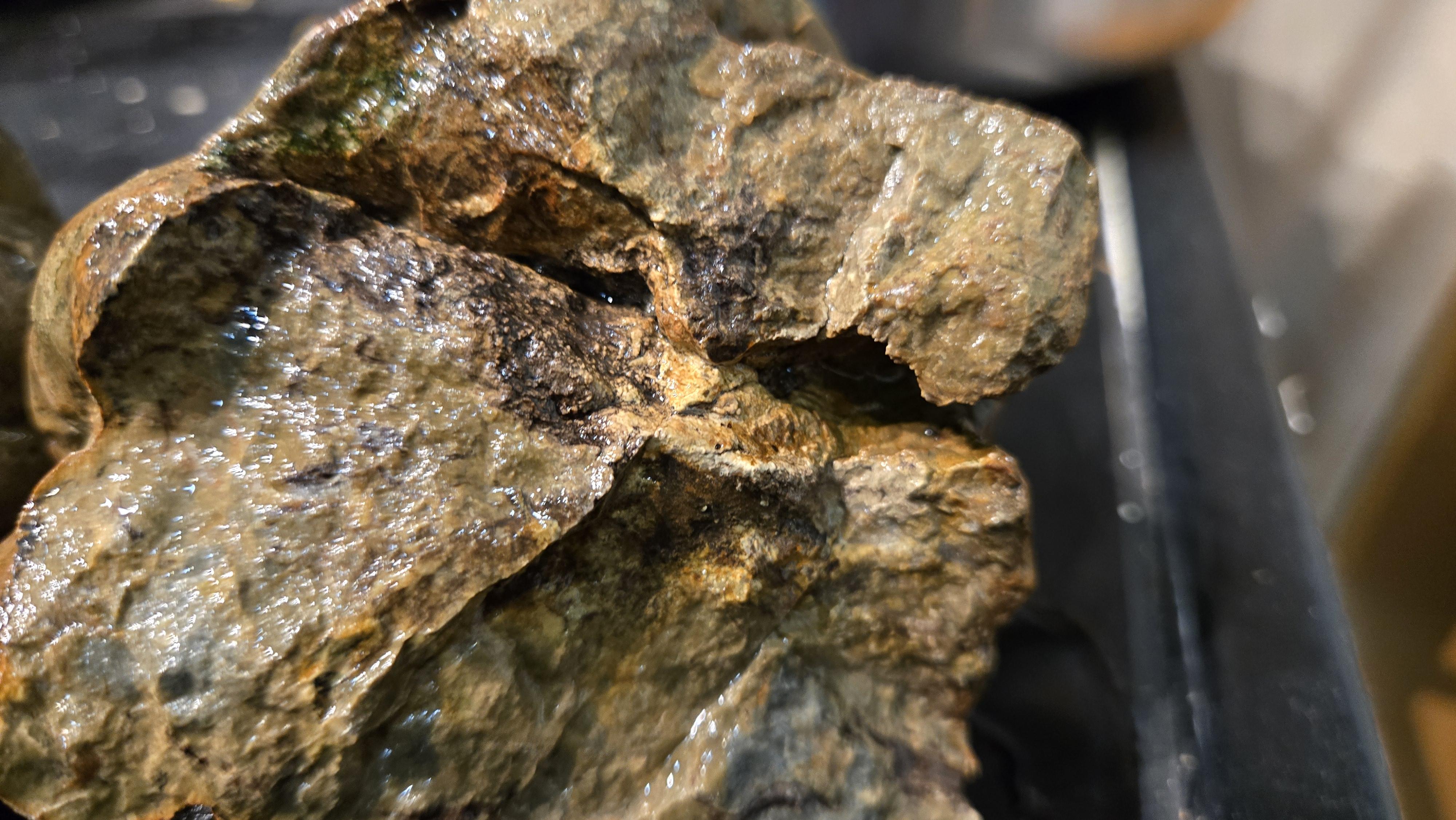 Whats is this rock? | Scrolller