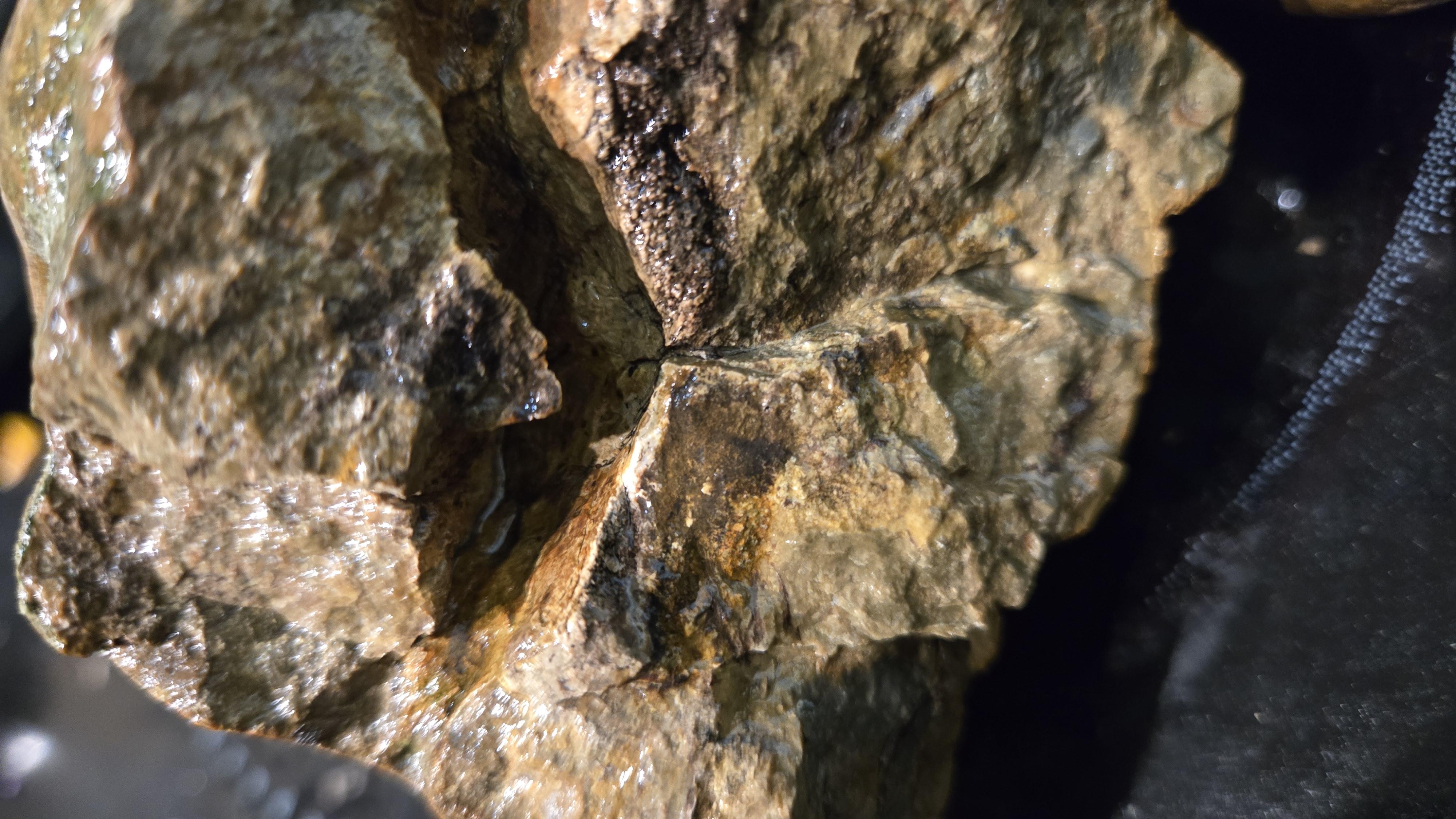 Whats is this rock? | Scrolller