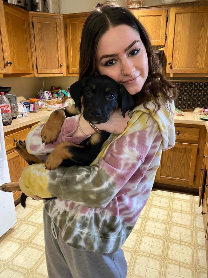 Bastian (Bash) comparison | Scrolller