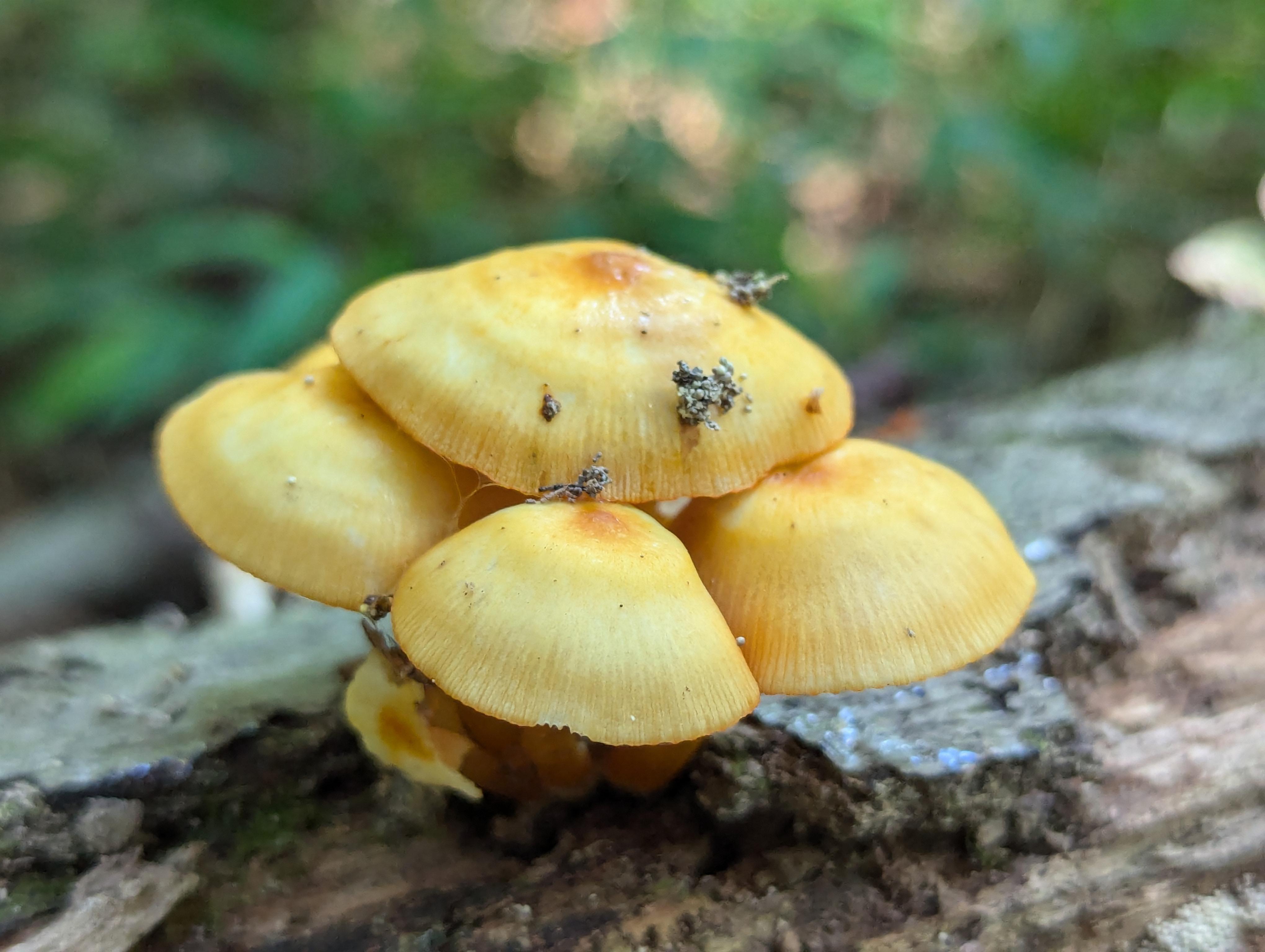 Recent Hike Finds | Scrolller