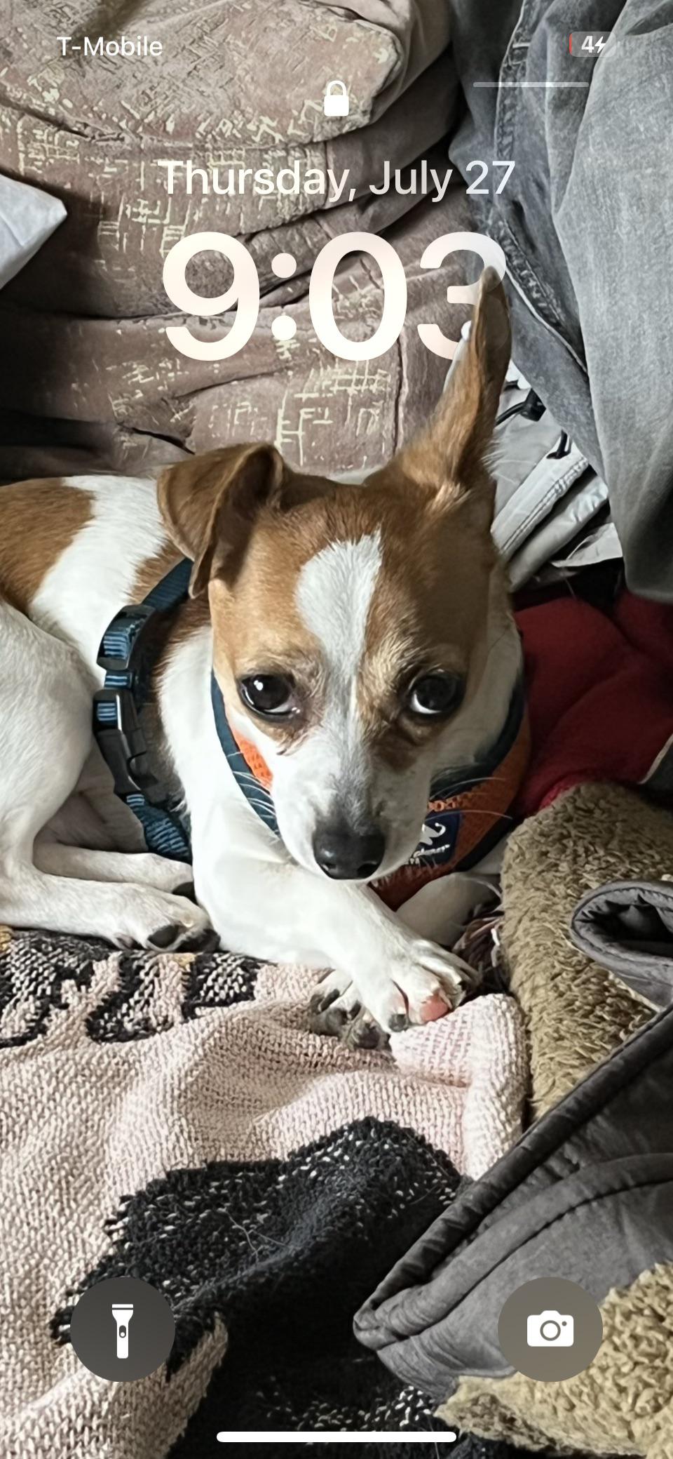 My little Mario he loves to take on naps after he rides his motorcycle really enjoys his new ...