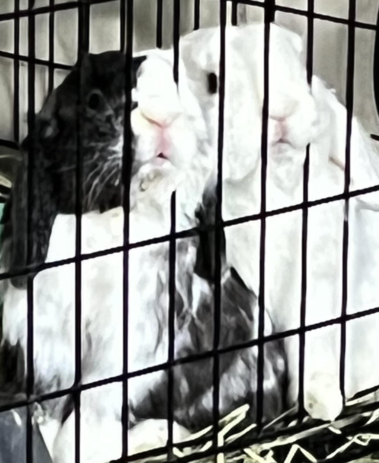 This is Stu. | Scrolller