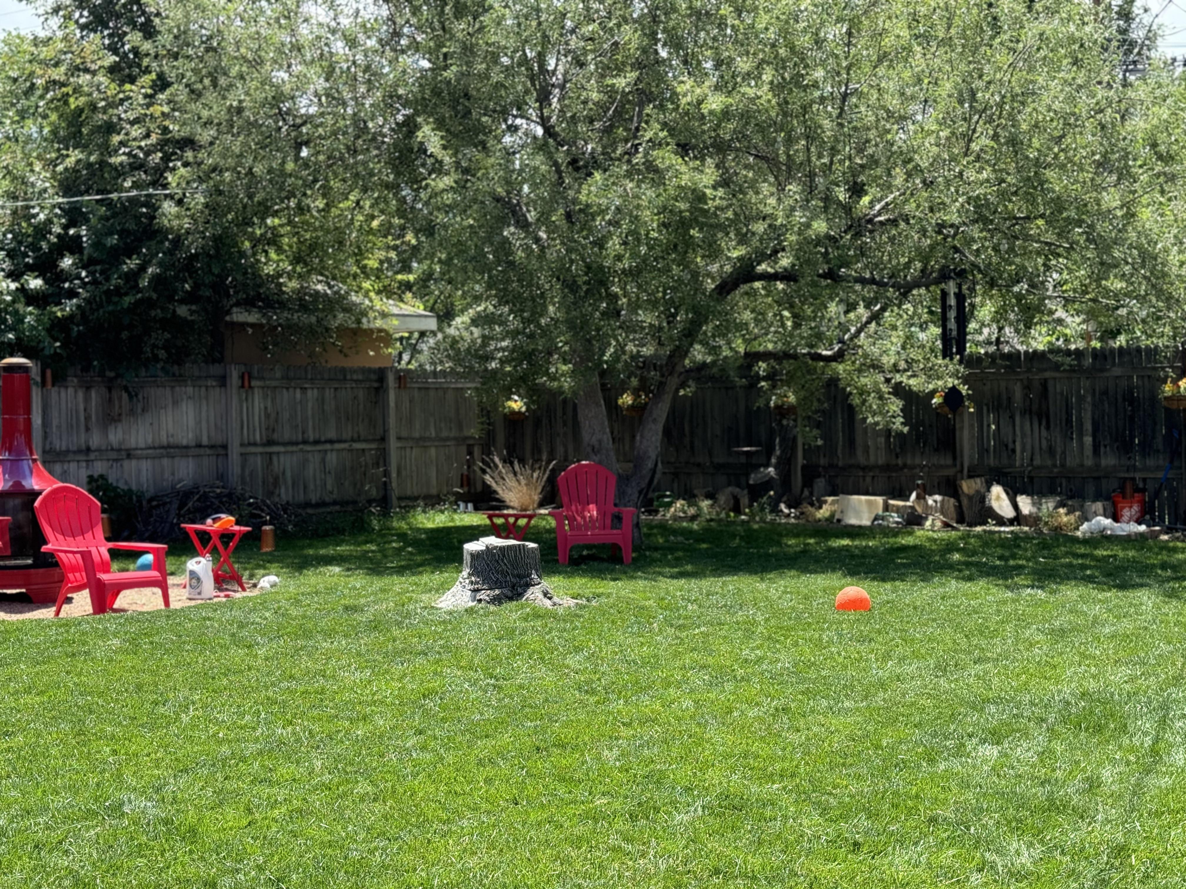 What do you think of the backyard lawn 👀? | Scrolller