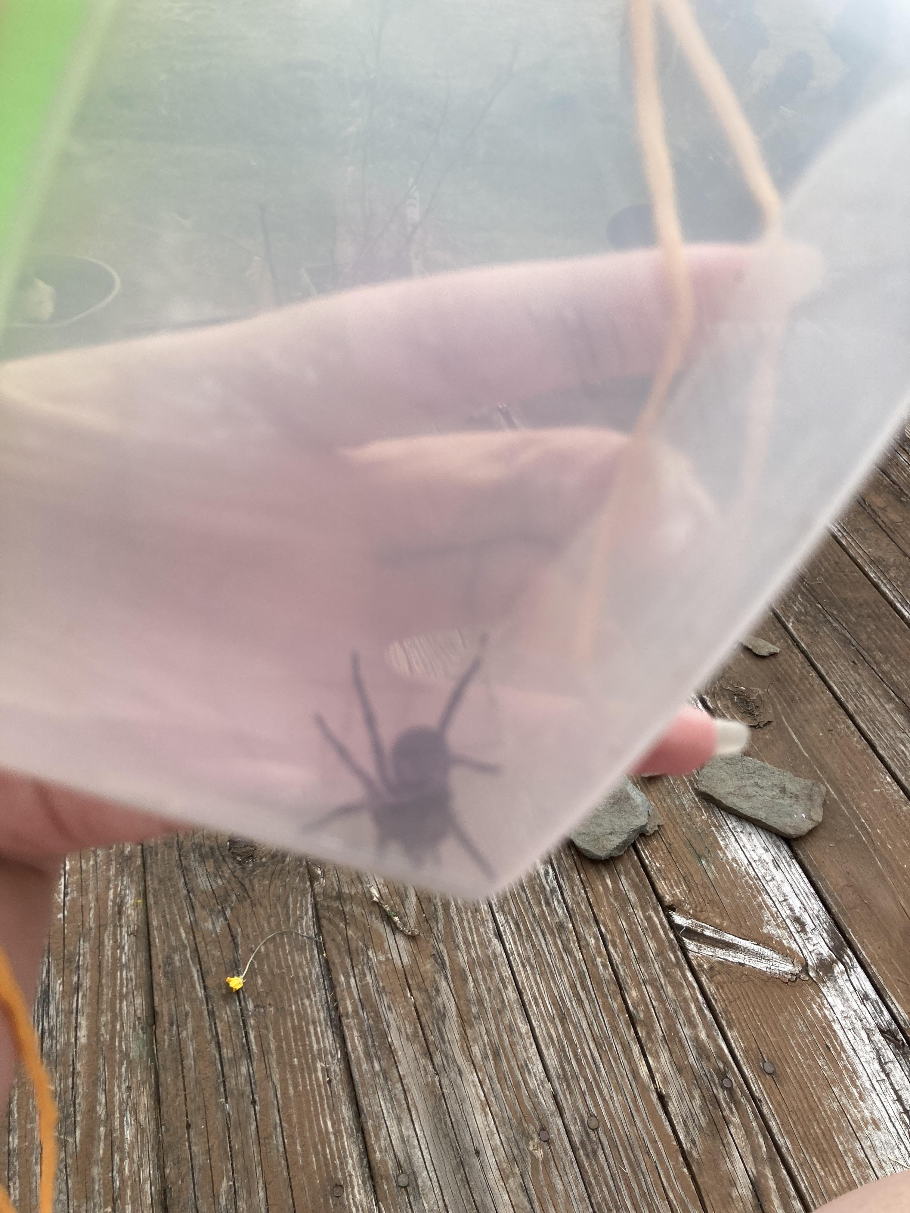 What is this? Upstate NY | Scrolller
