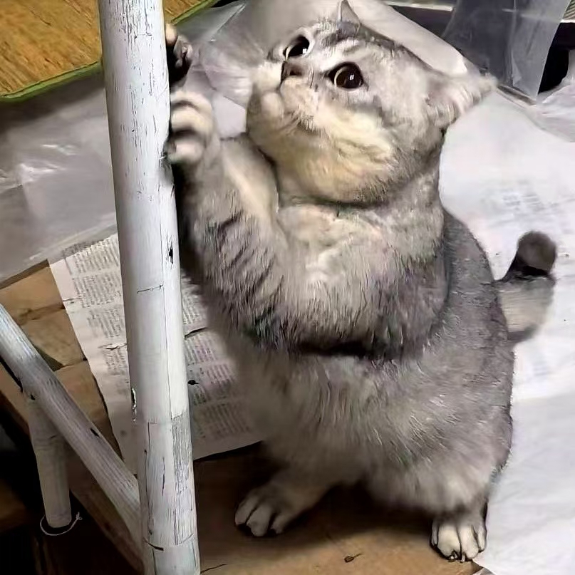 My cute son (OC) | Scrolller