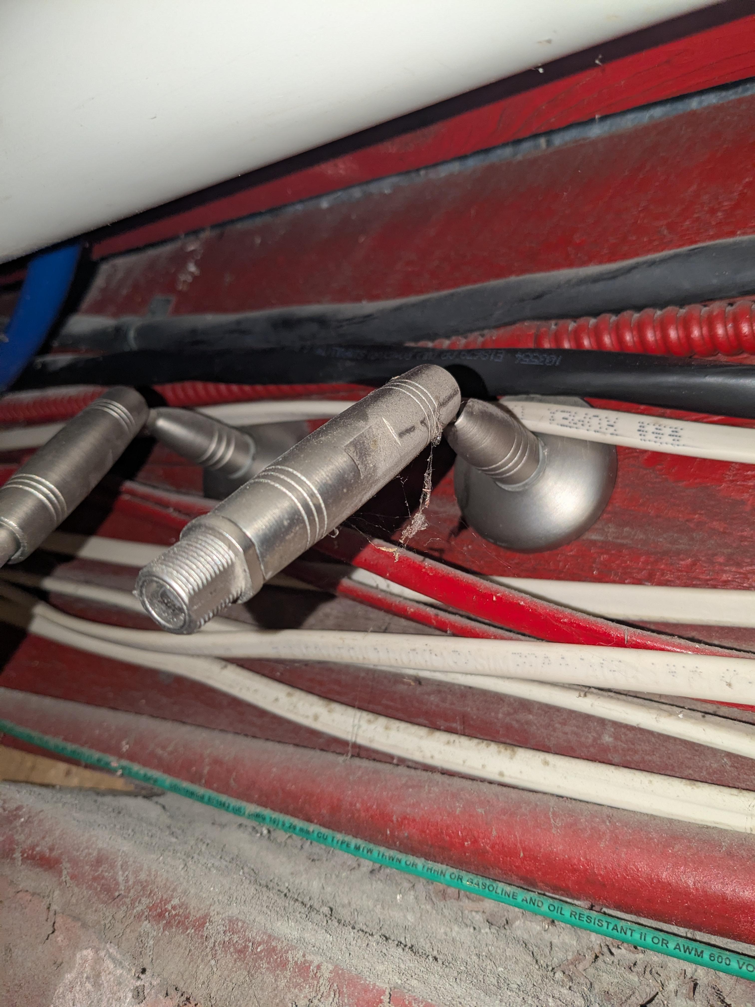 What are these things in my basement? | Scrolller