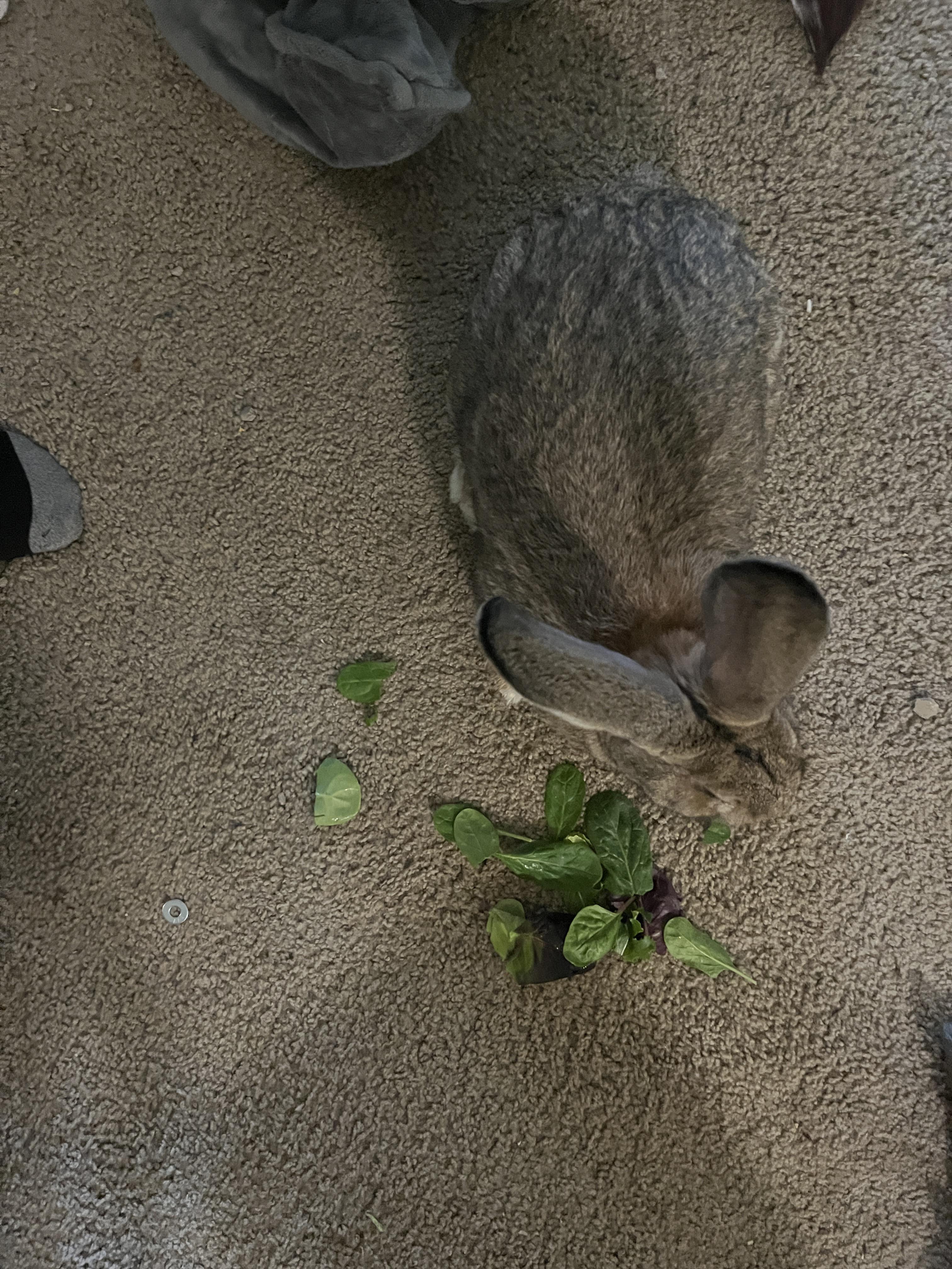 Bonding? | Scrolller