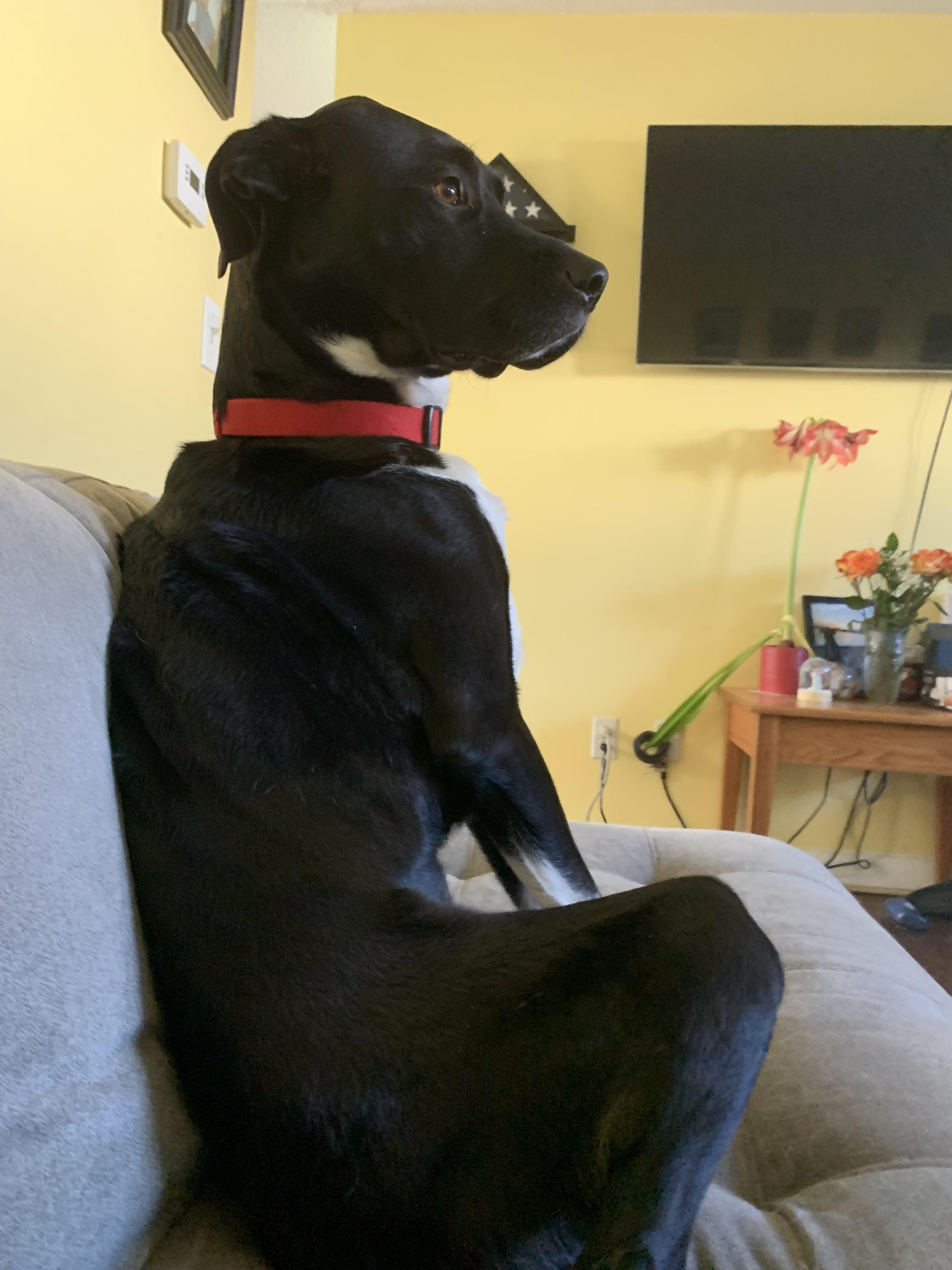 All i can say is, ew | Scrolller