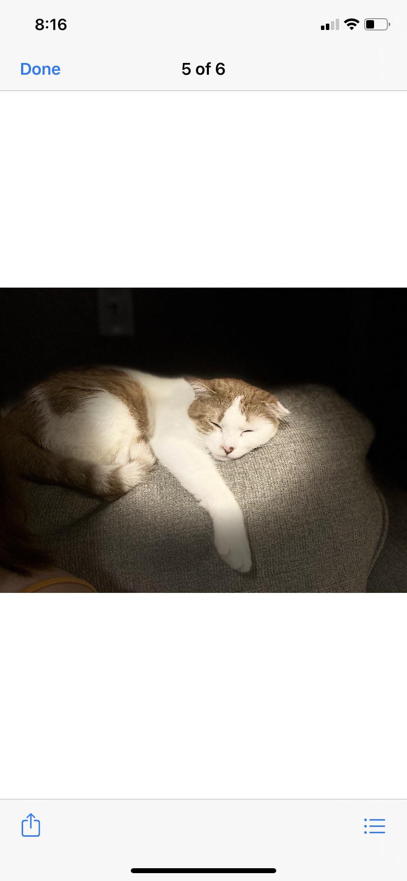 Even with her wonky ear, I think she’s the prettiest old lady. | Scrolller